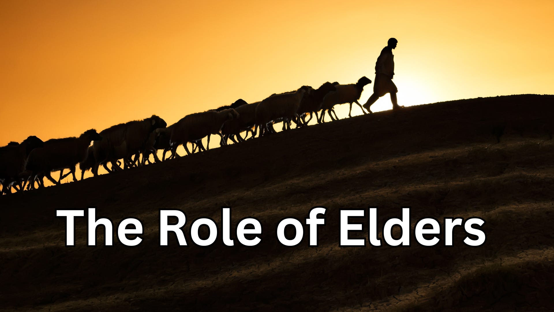 What is the Role of Elders? - by Jameson Steward