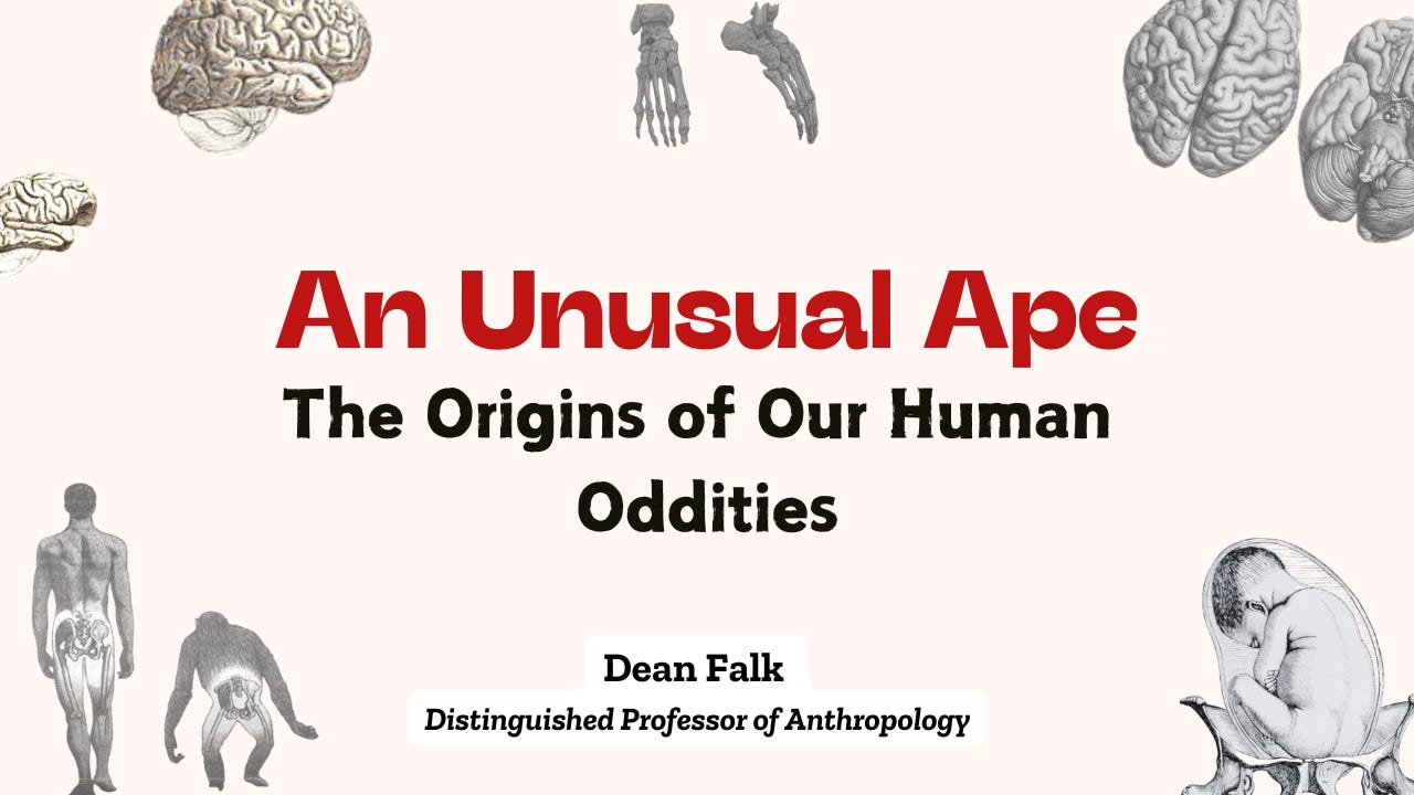 Origins of Humankind - by Ilari Mäkelä - On Humans