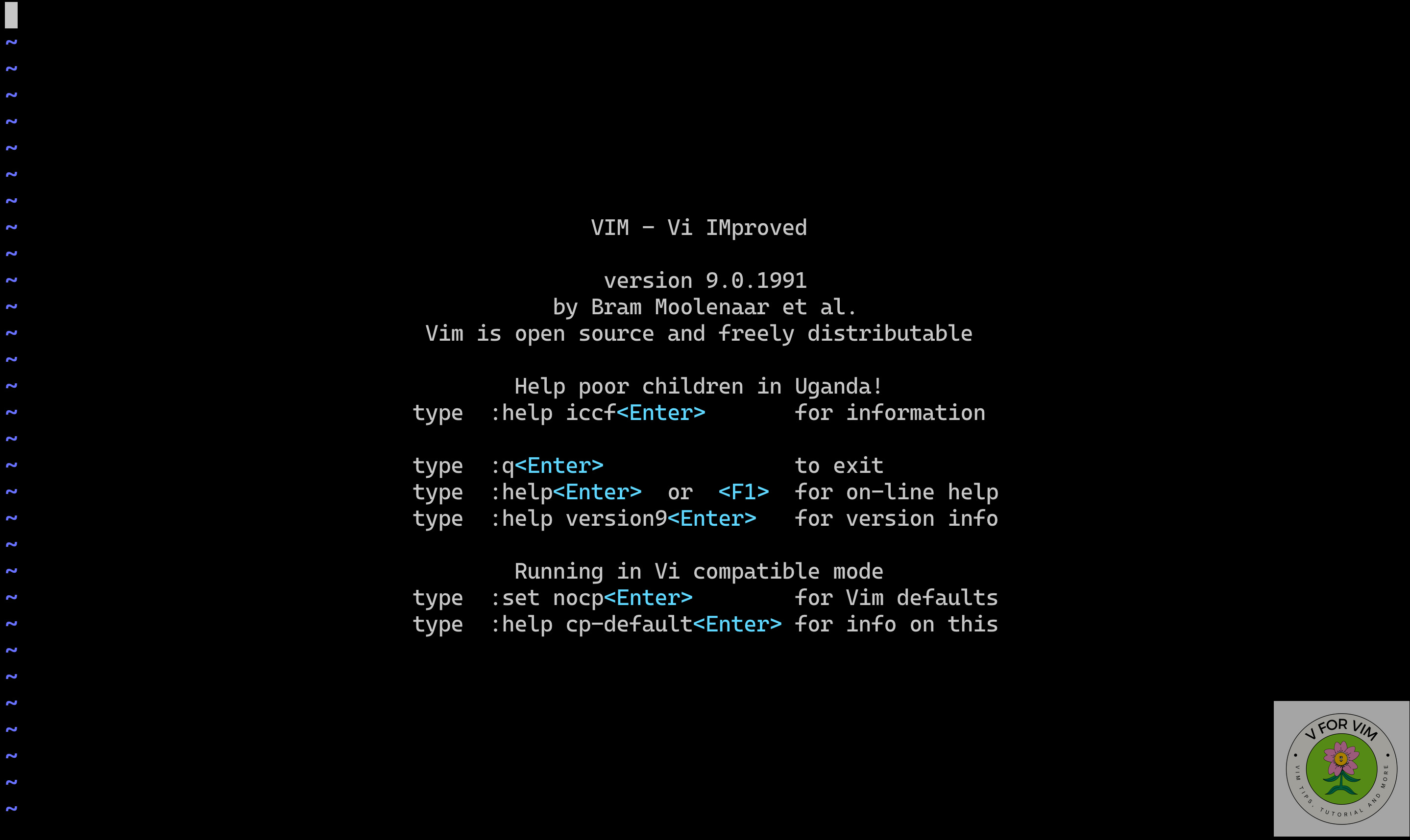 How to open VIM with with separate config ? - by ervinismu