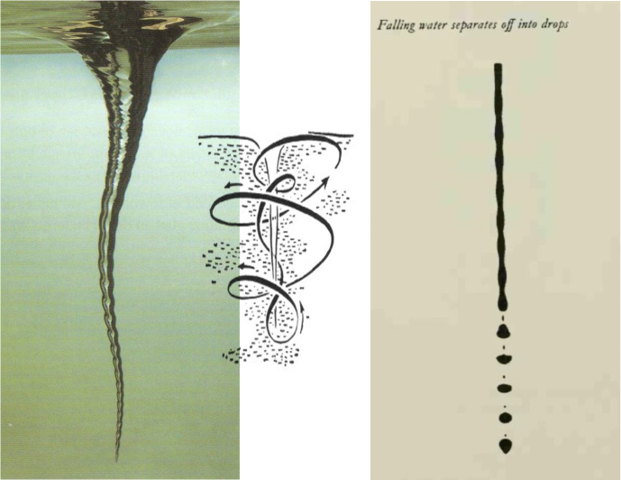 No. 58: Lily Clark - Affection Archives