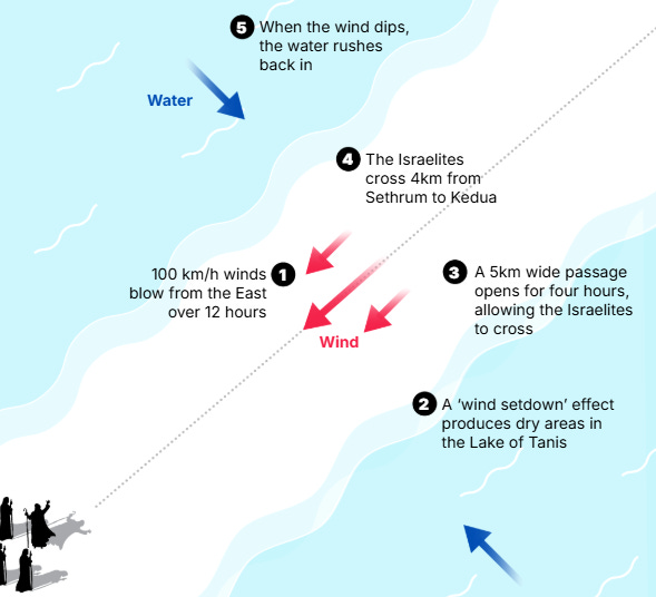🔎 The Curiosity Files #8 - by CF - The Curiosity Files