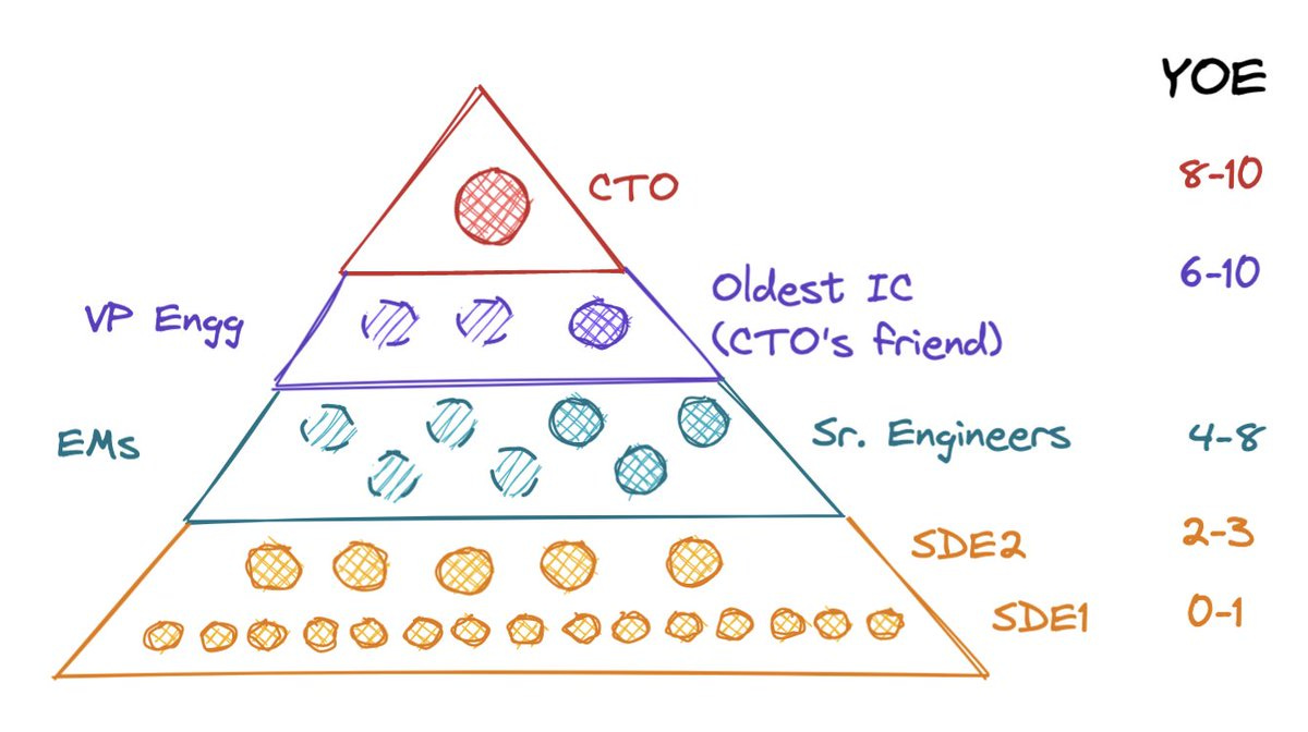 Navigating the Software Engineering career ladders