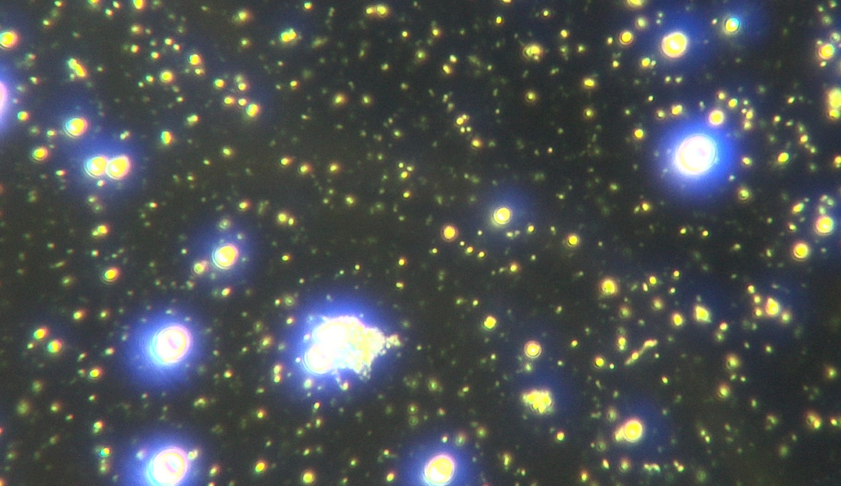 Somatropin Growth Hormone Self Assembly Nanotech, Filaments And Quantum ...