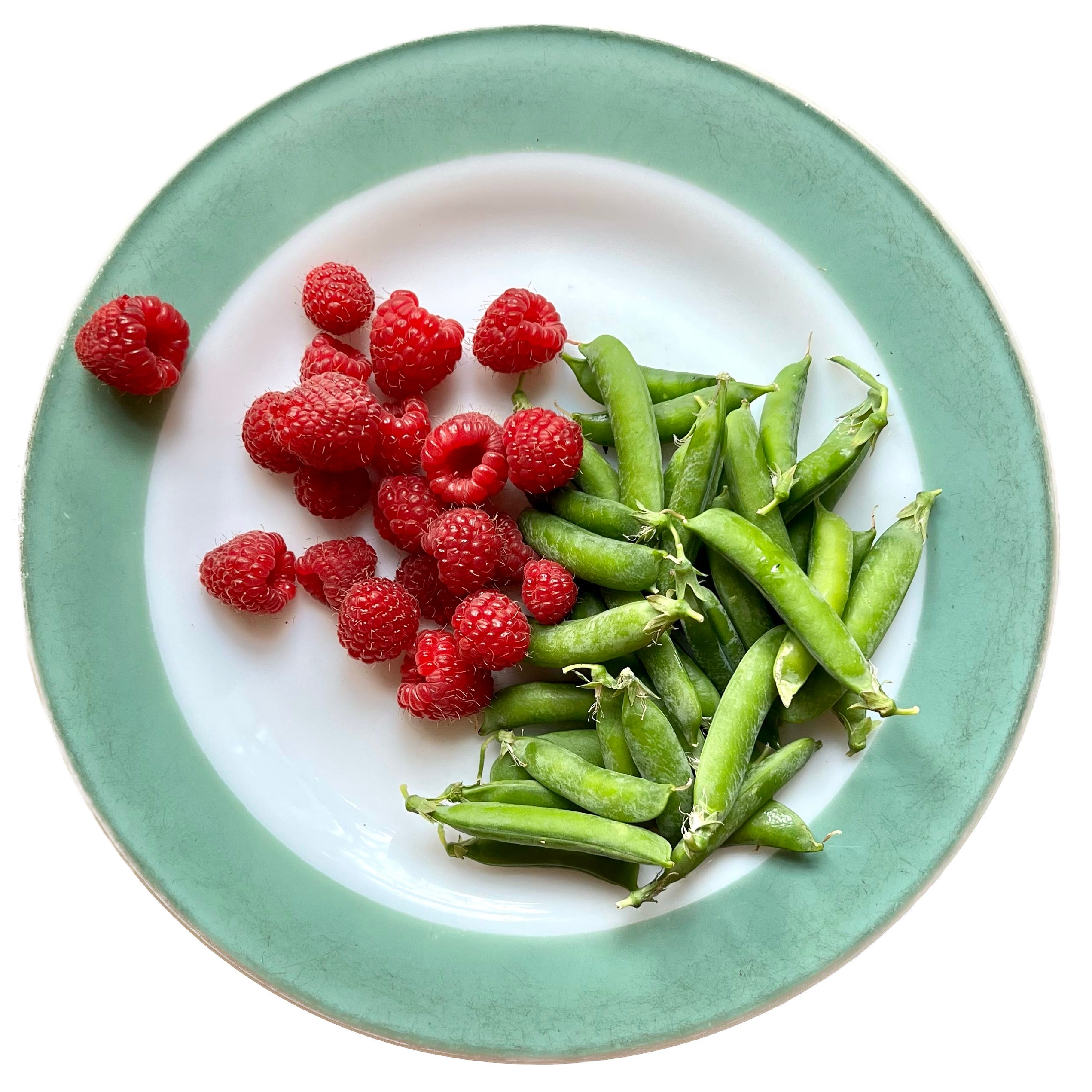 Rachael Coyle | Substack