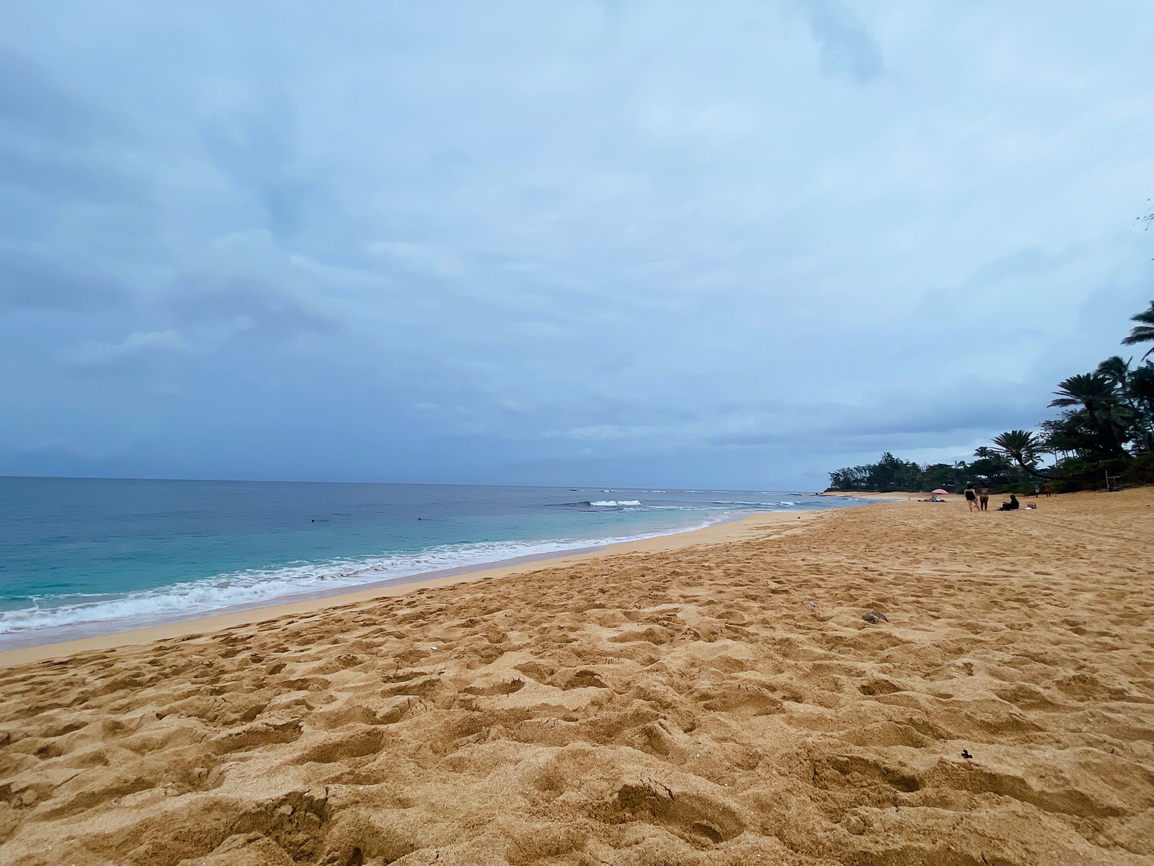 Presentable #14: Visting Hawaii - by Victor Kernes