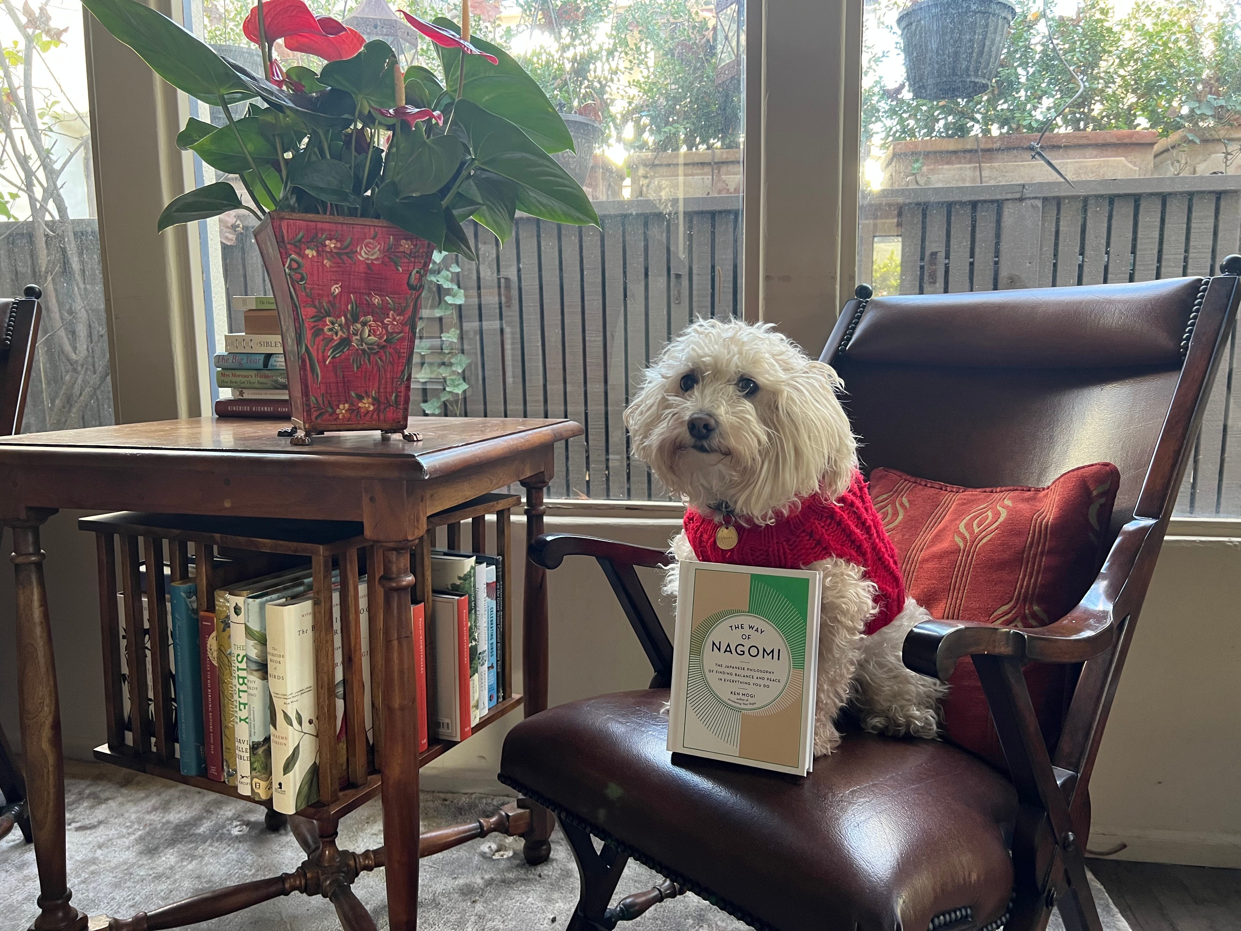 Nagomi - by Leanne Ogasawara - Dreaming in Japanese