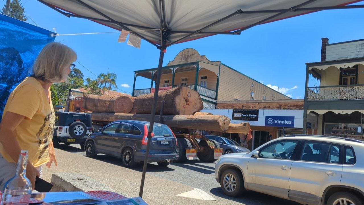 Cutting down trees to save koalas - by Vitaliy Kravchenko