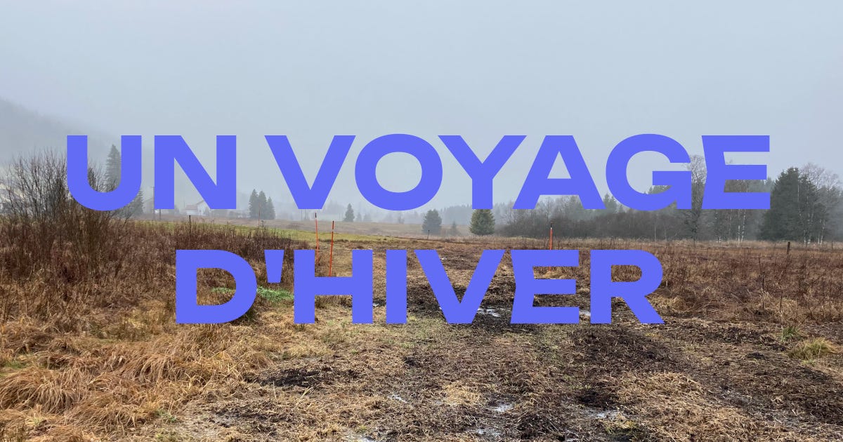 11 - Just gadoue it - by Maxime Froissant