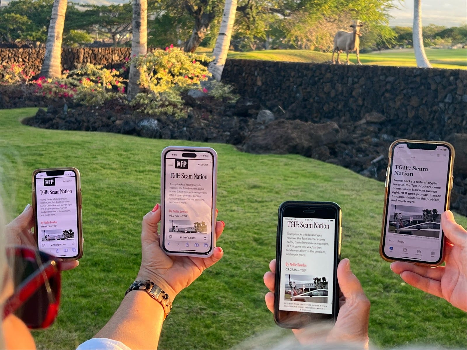 TGIF: Everything’s Computer - by Nellie Bowles