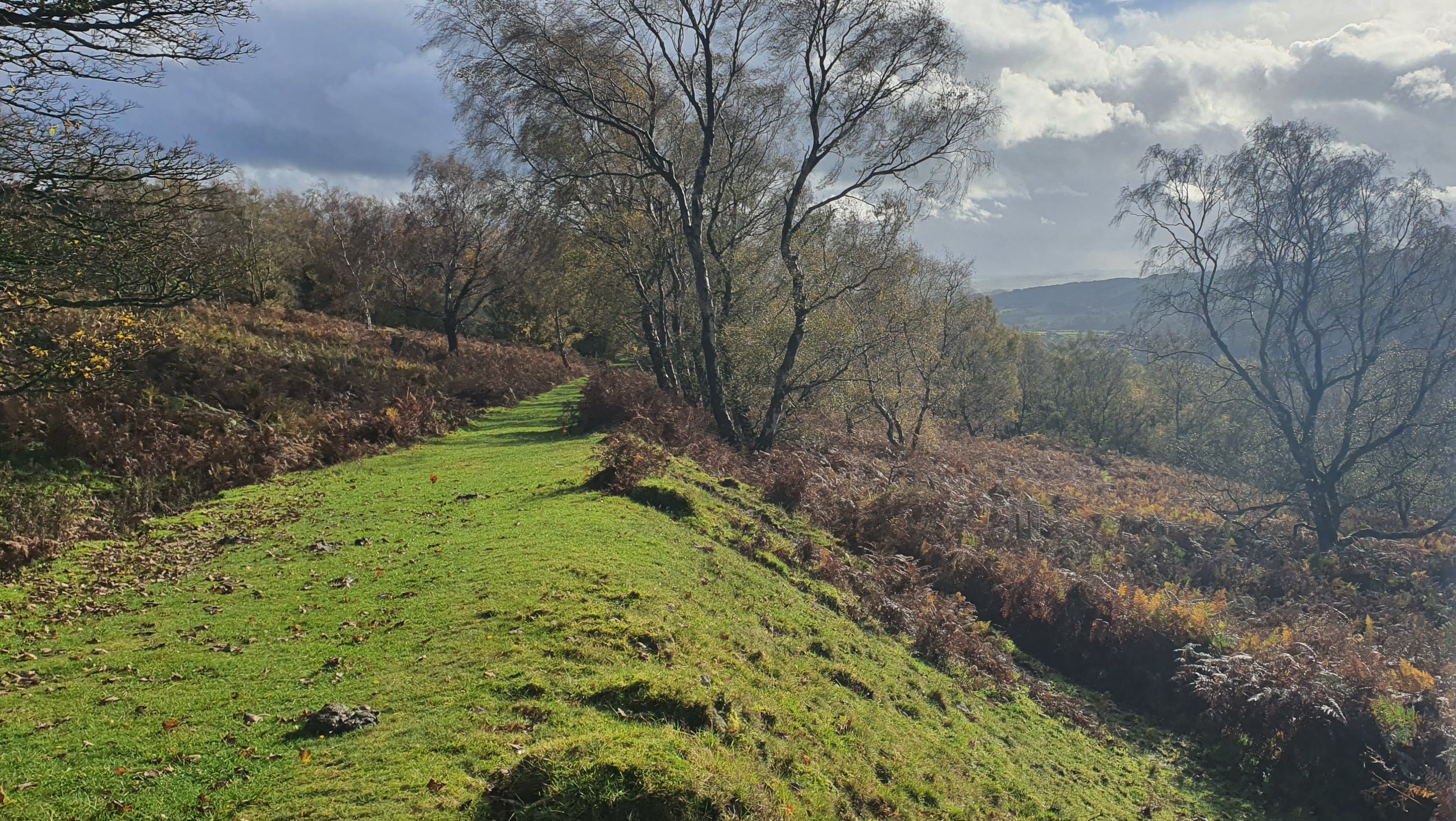 When and Why do we Stop Being Childish? - by Colin Papworth