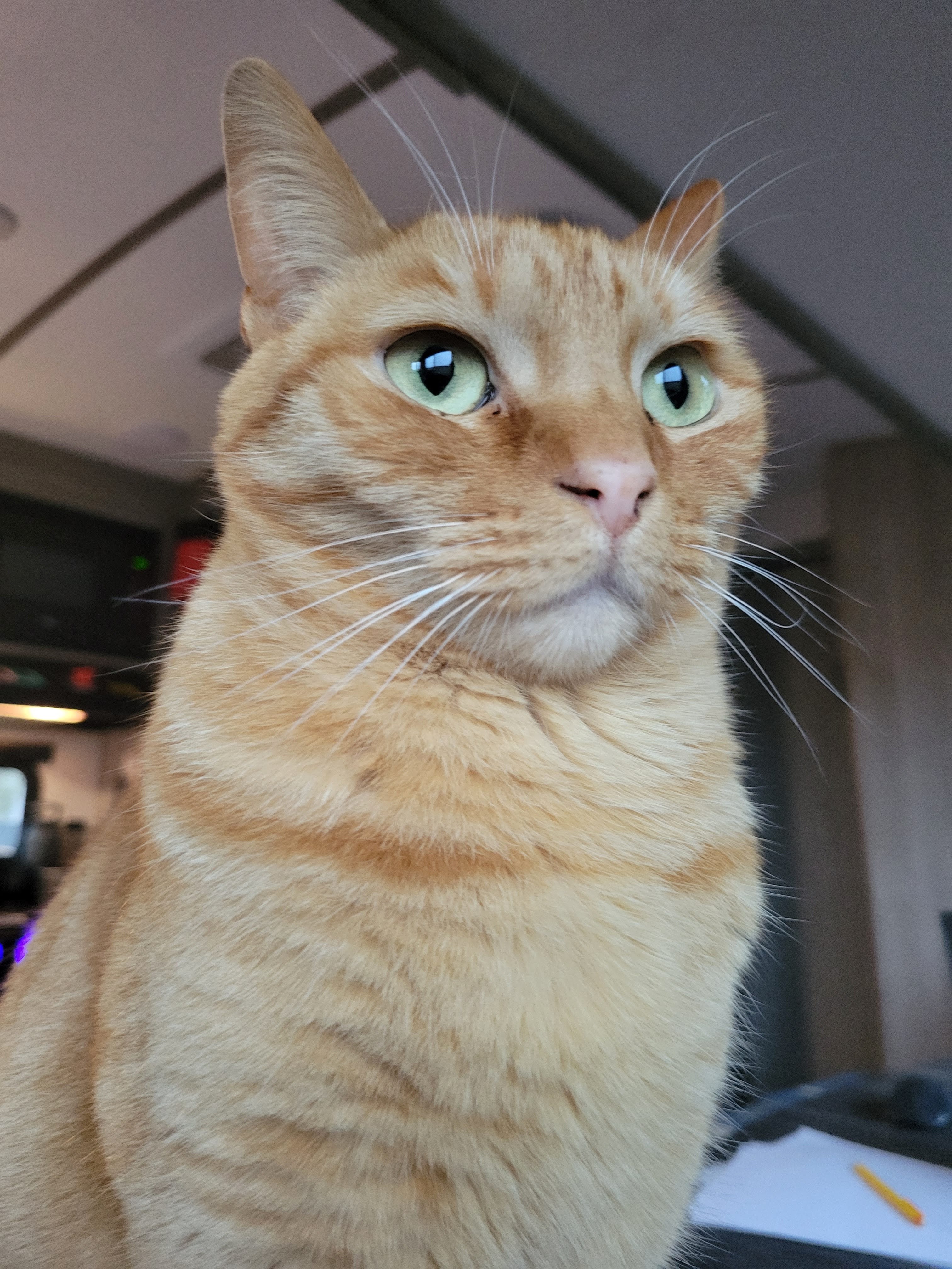 Jason Milldrum | Substack