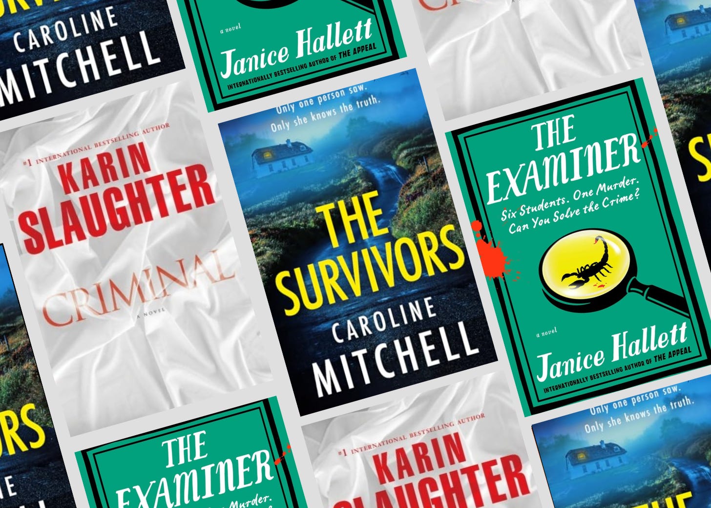 my reading diaries #13 of examiners, Ireland and criminals