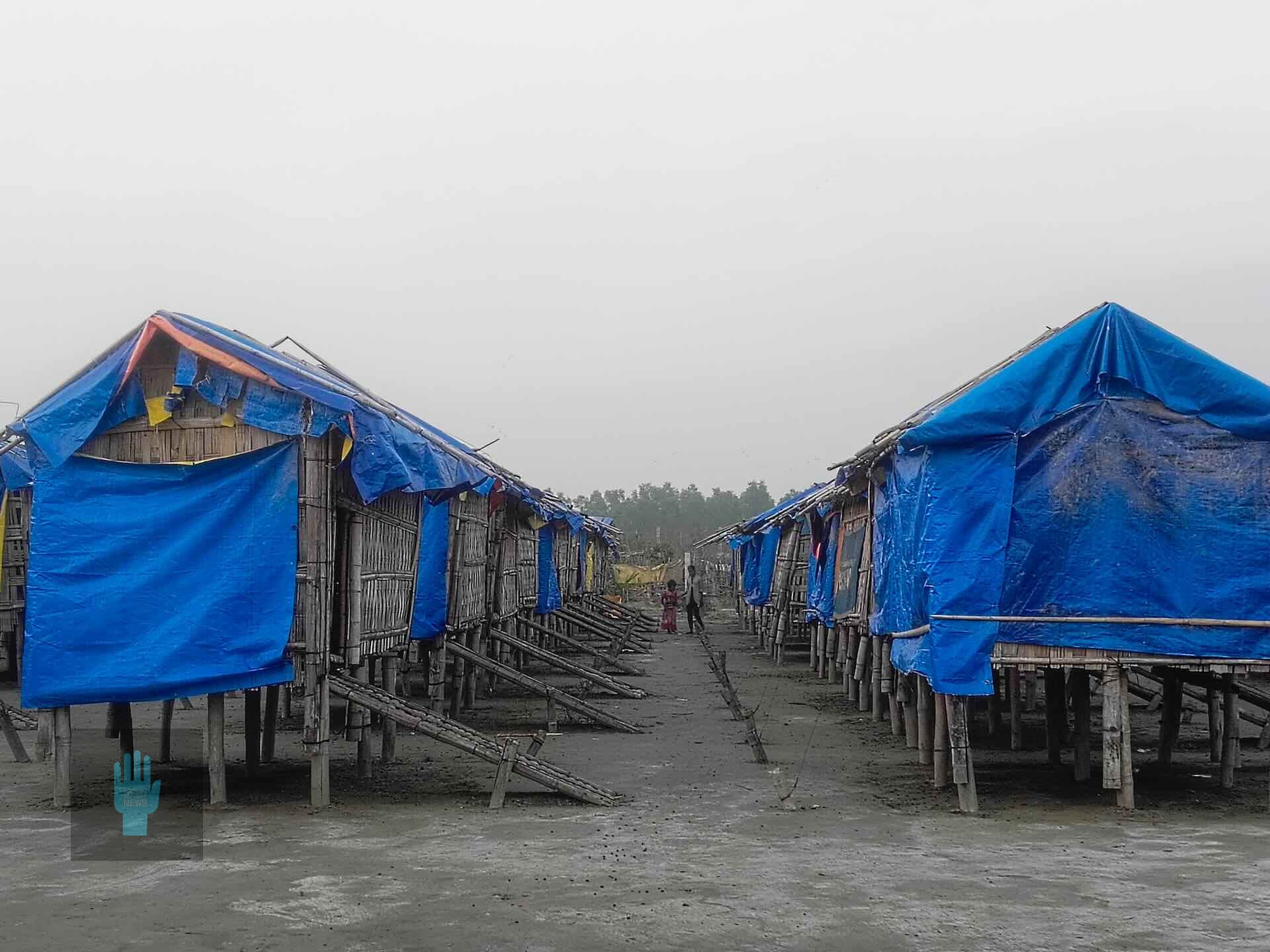 Goat and Sheep Farm, Bhasan Char - by Mijanur Rahman