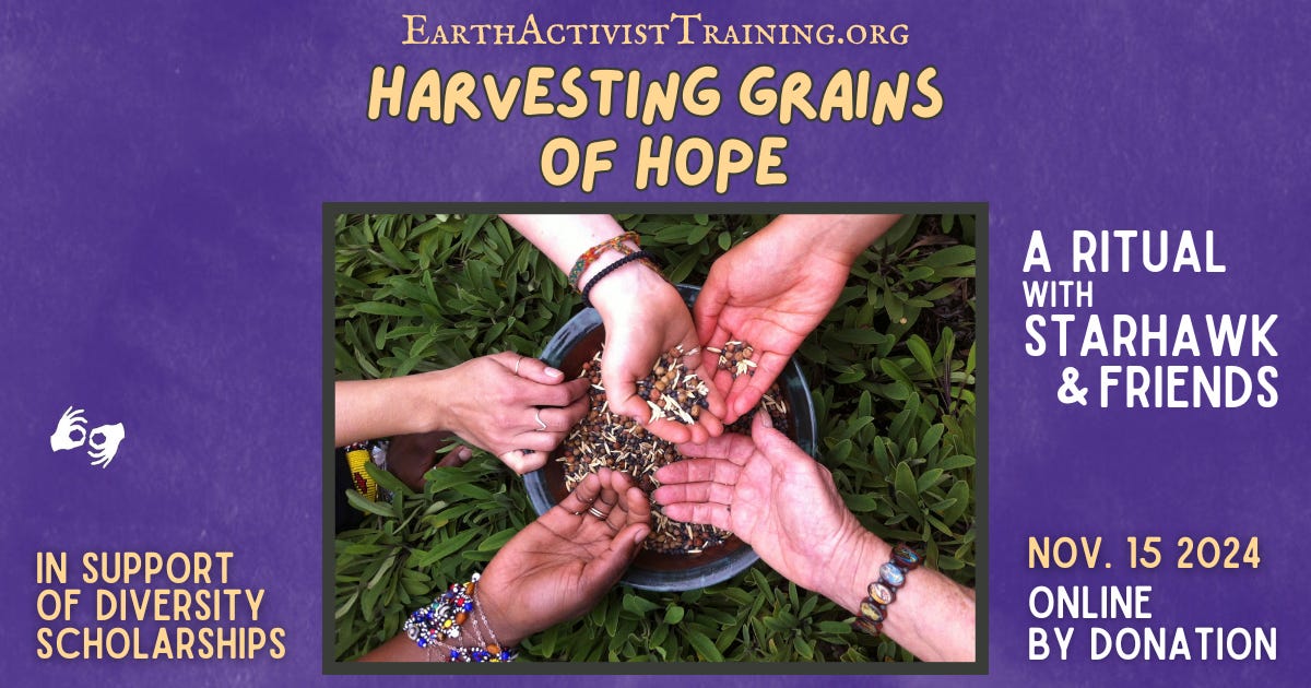 Harvesting Grains of Hope - Starhawk’s Substack