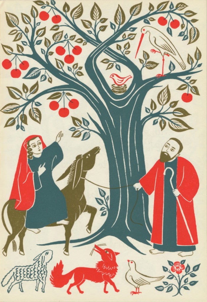 The Cherry Tree Carol - by Amy Peterson
