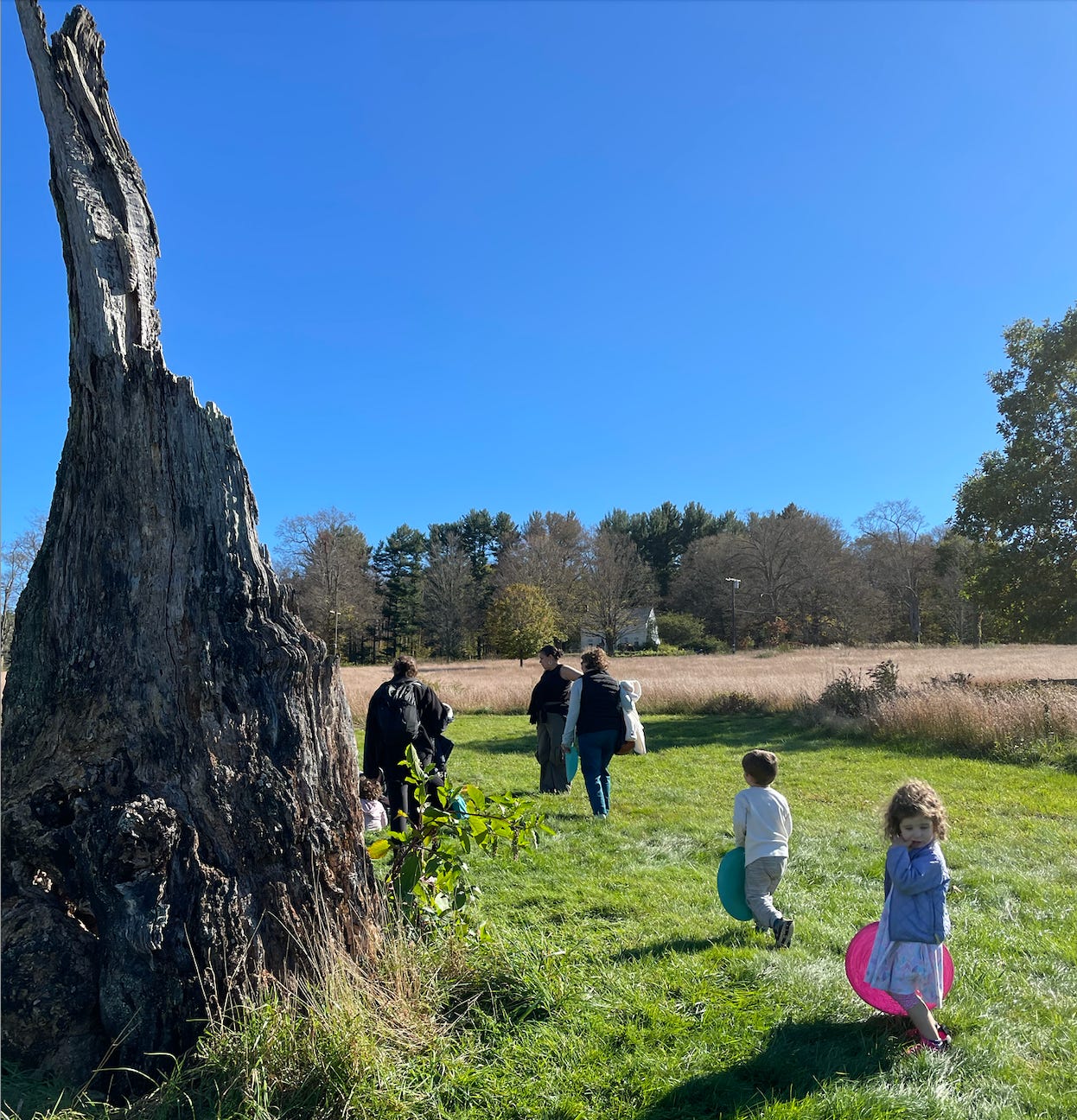 What's The Plan: MAY 16-18 - by Kayla Kaplowitz - The Plan