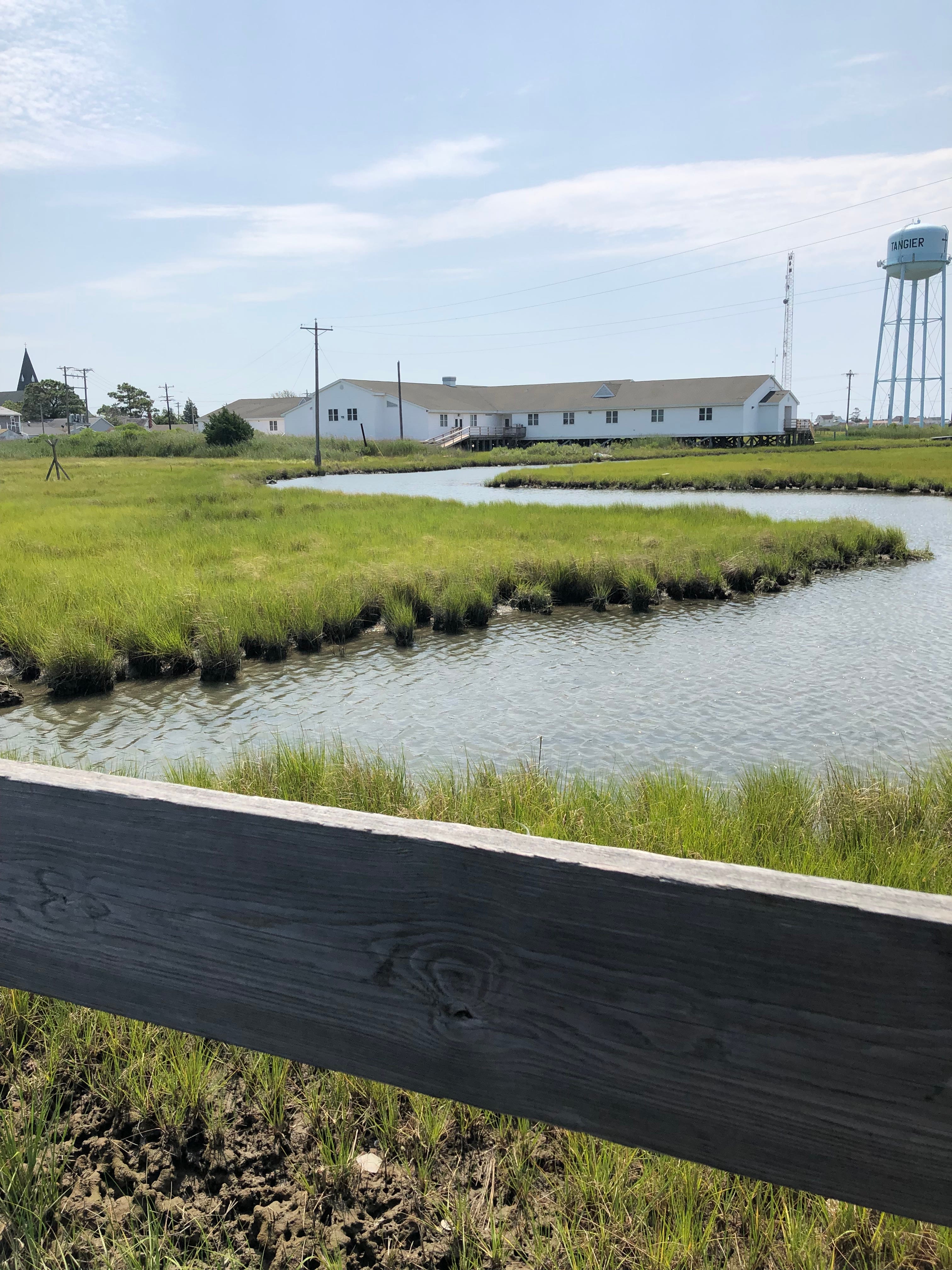 Tangier Island - Agile’s Blog