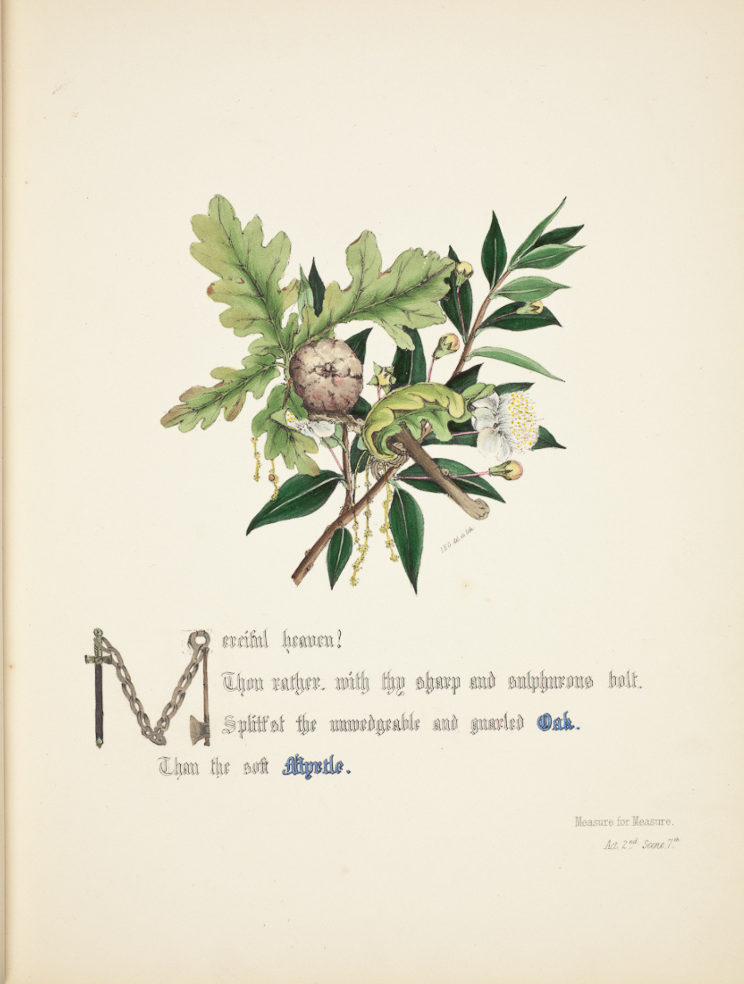 The Shakespeare Garden: Jane Elizabeth Giraud's Posies and Elizabethan ...