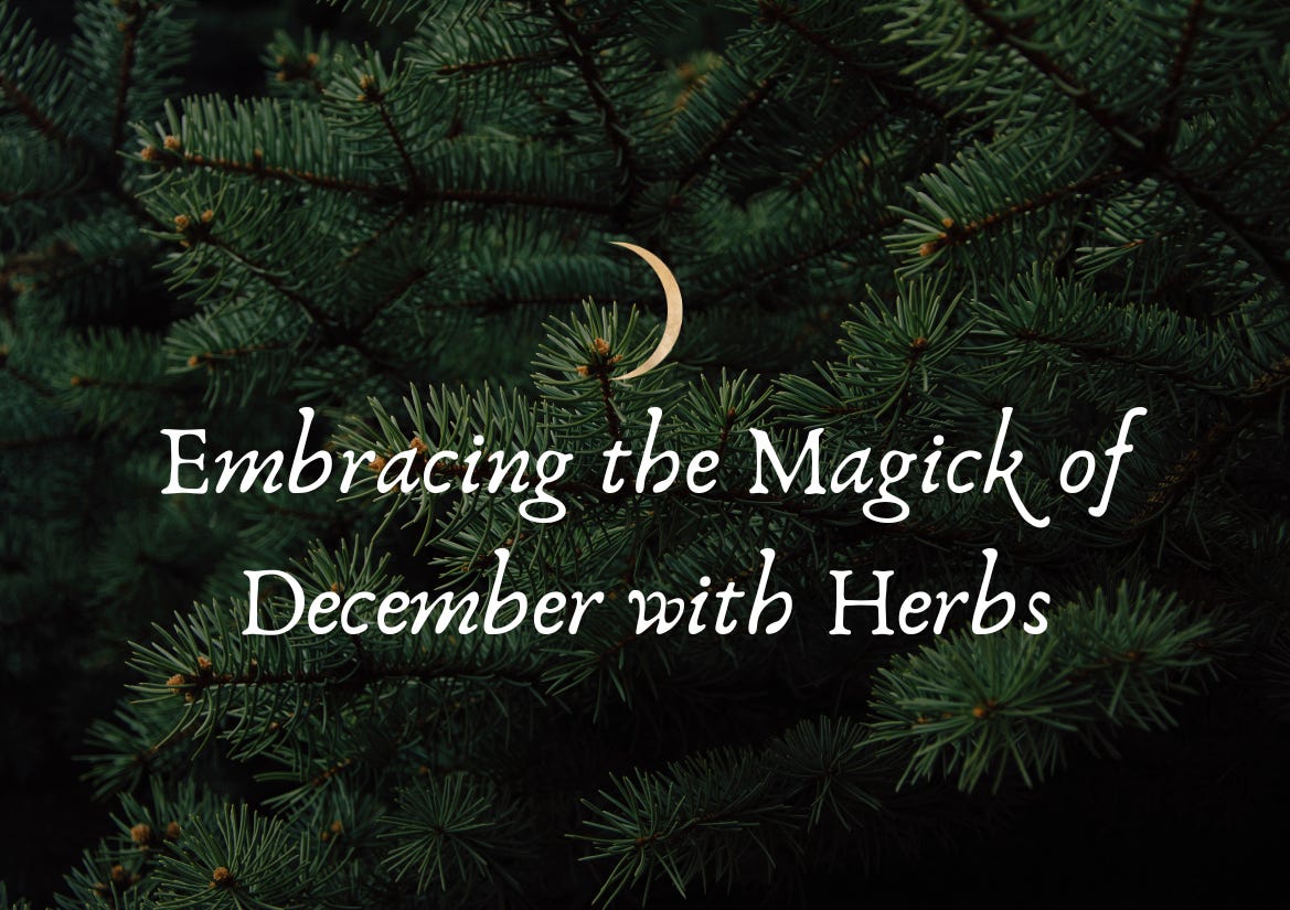 Embracing the Magick of December with Herbs