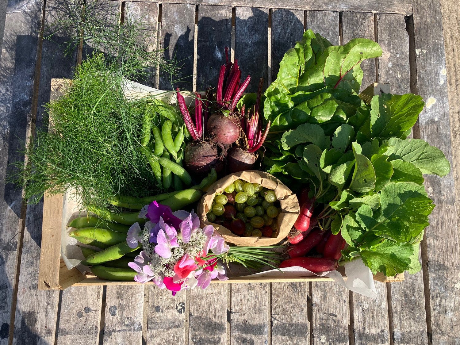 Vallis Farm continues Frome's market garden revival [WFJ #74]