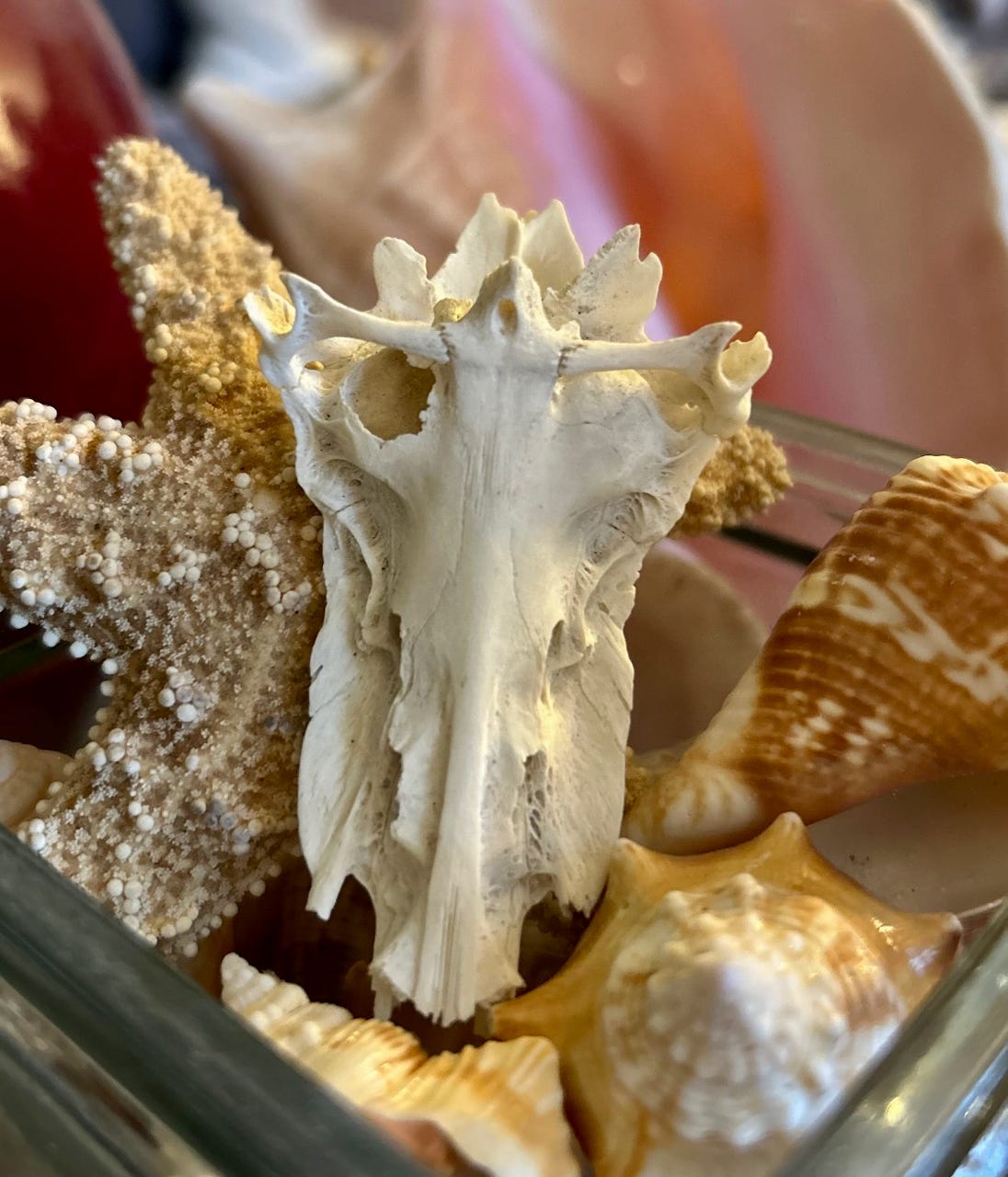 WHY DID GOD SEND A BABY? - by Jan Stoneburner