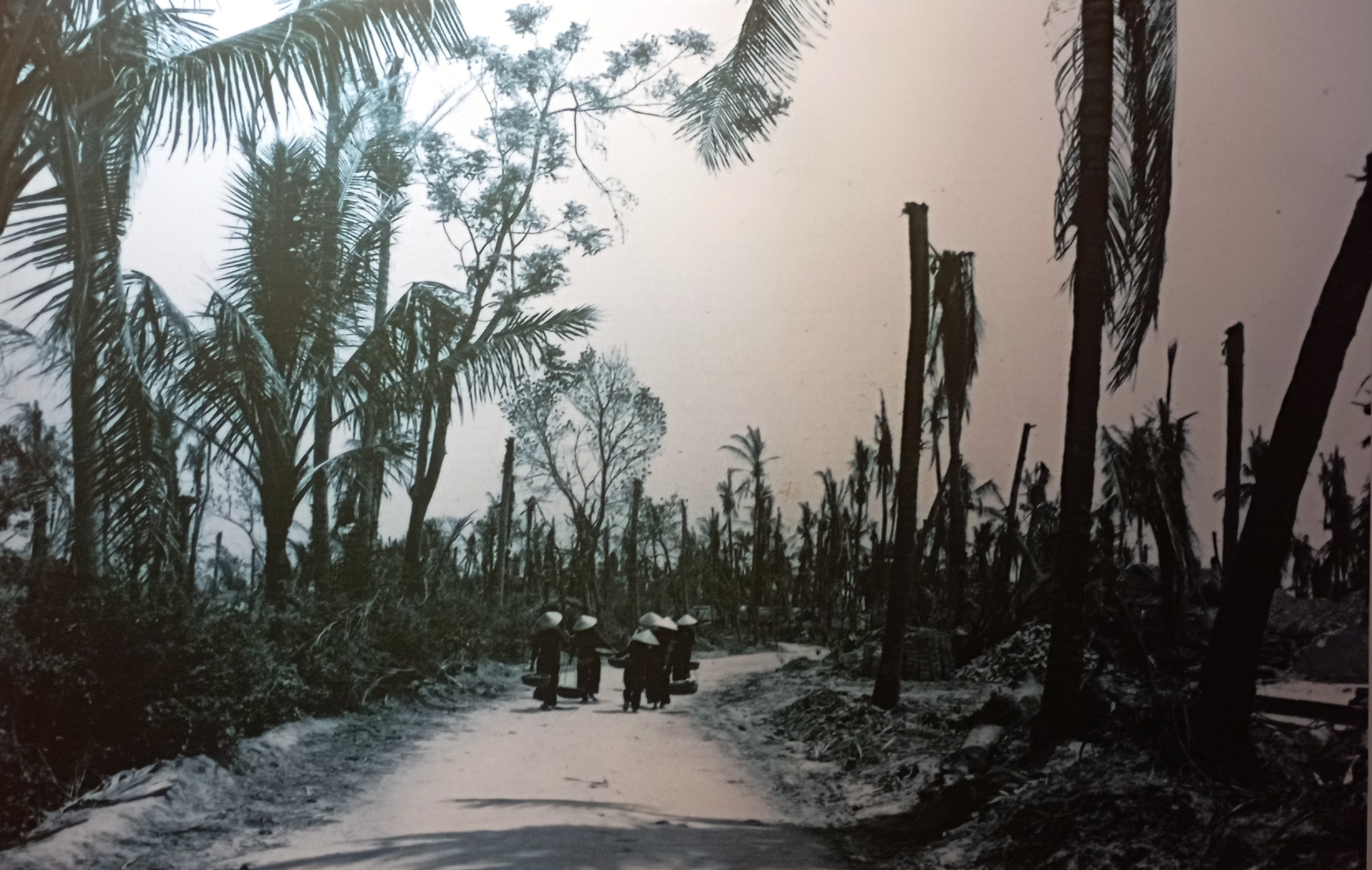 Saigon Botanical Gardens - Laurel Goss EnRoot