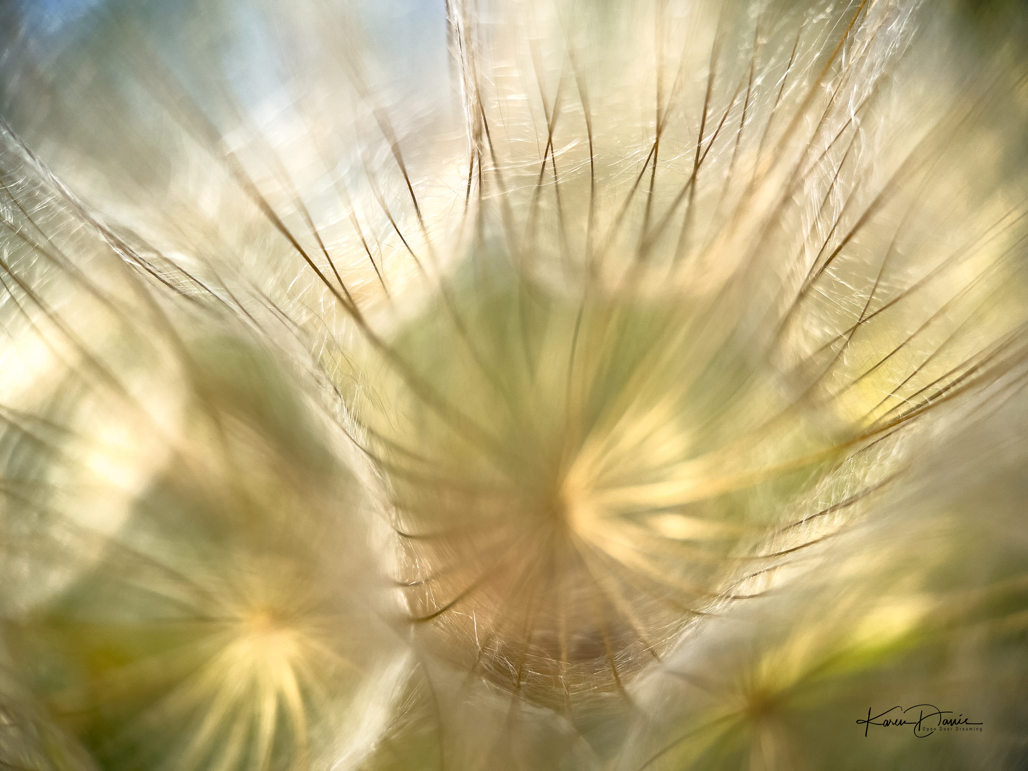 Lead With Your Heart - by Karen Davis