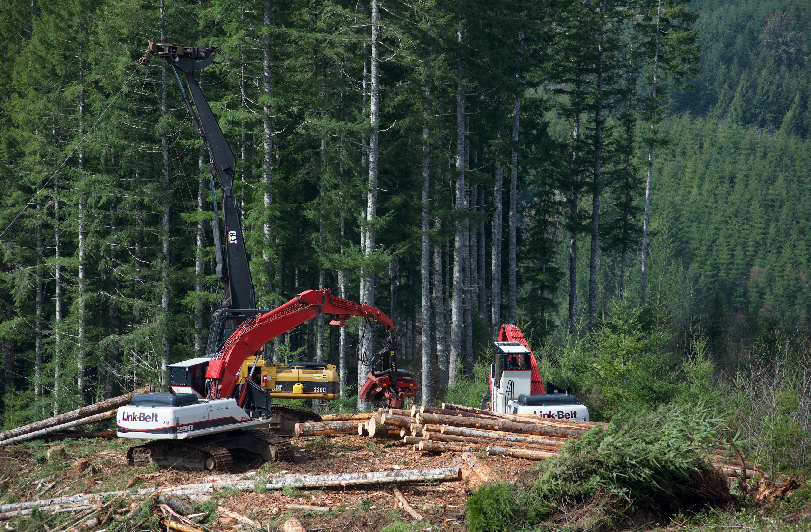 CHAPTER 11: The Logging Scene - by T.H. PLATT