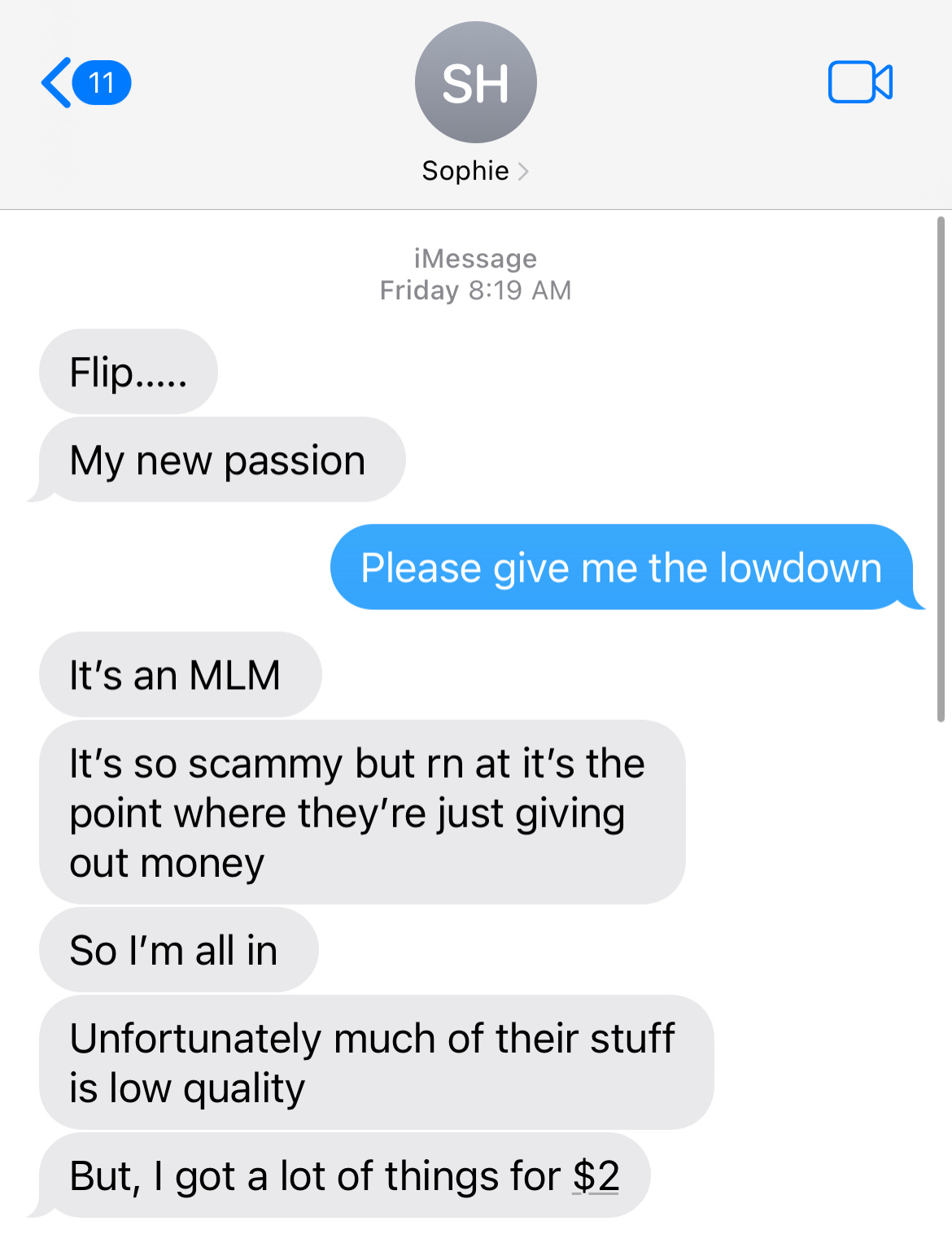 Is Flip a visa scheme for a CIA asset? - by Emily Sundberg