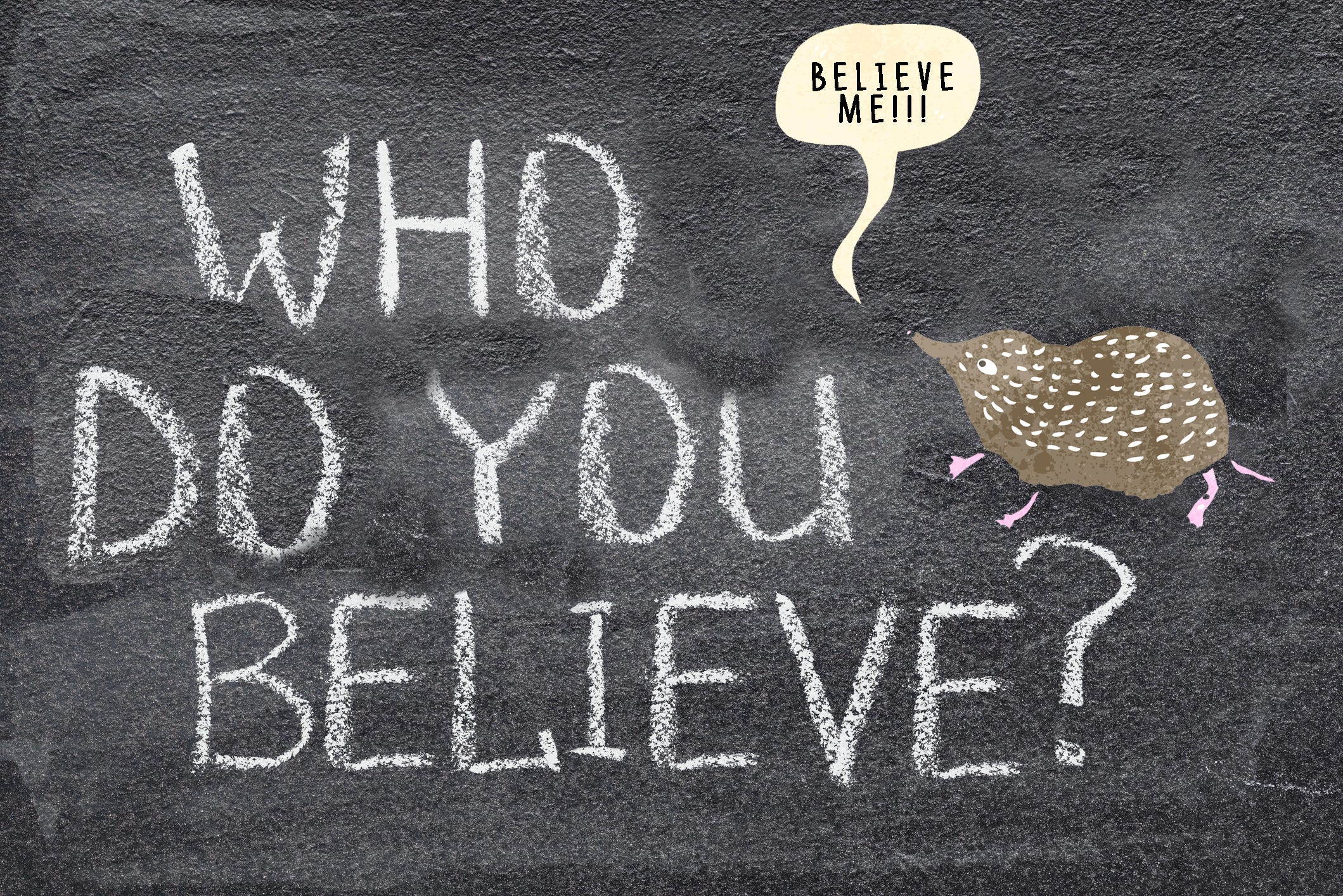 Who Do You Believe, and Why? - by Todd Hayen, PhD, RP