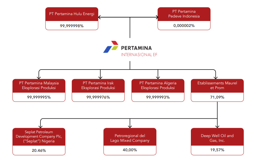 Pertamina, Maurel, Carlyle and Assala's love affair in Africa
