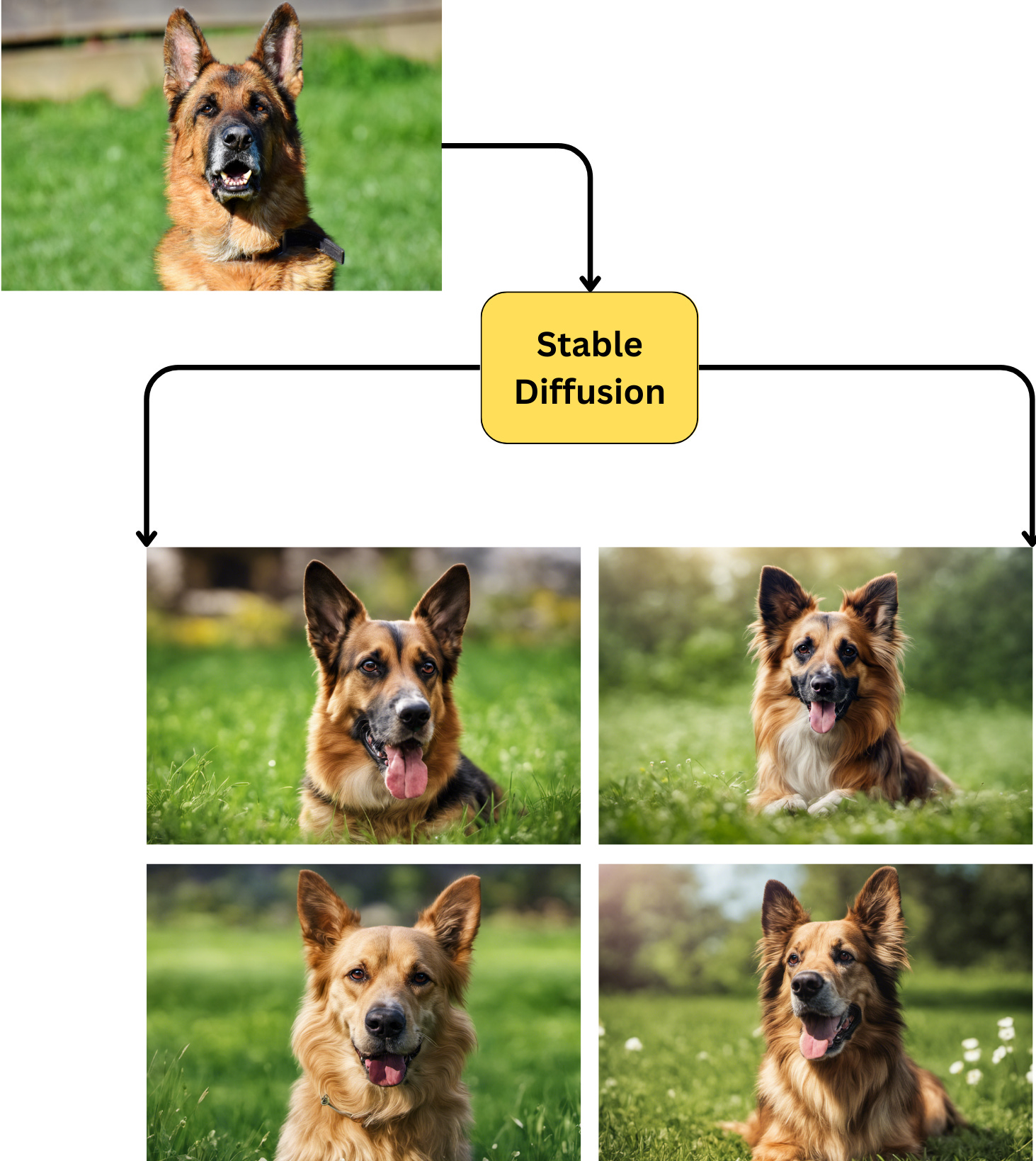 How to Build an Image Retrieval System like Google Images