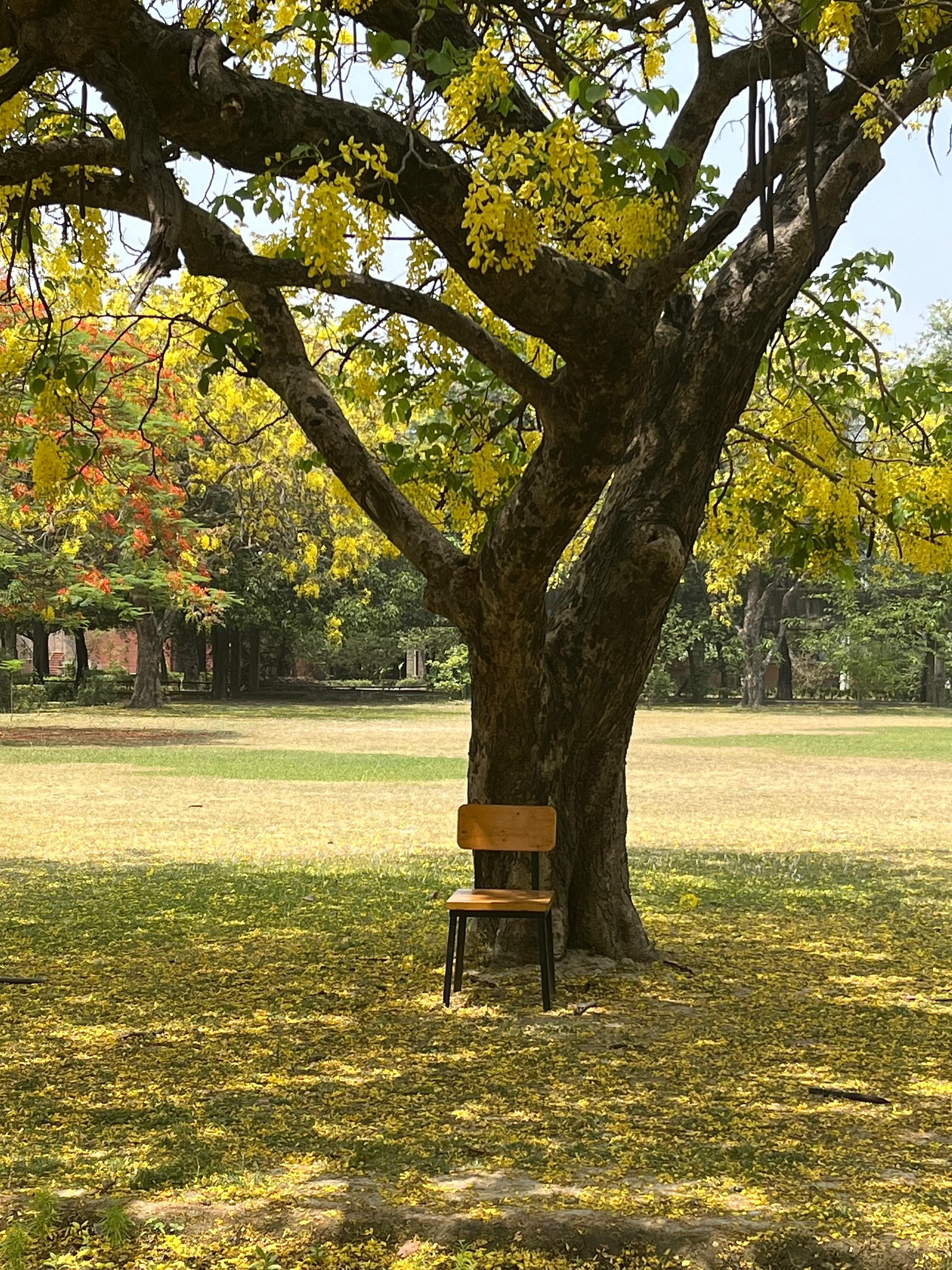 Silly Baka is Back - by Prerana Reddy - Prerana’s Substack