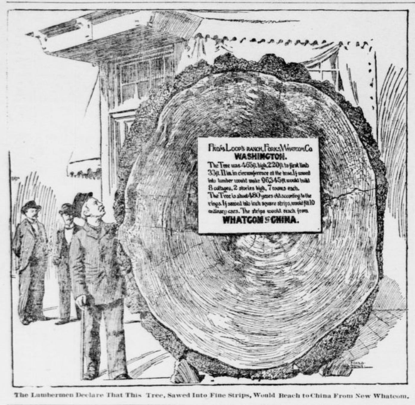 The Ferguson Tree Edition - by Guest Contributor