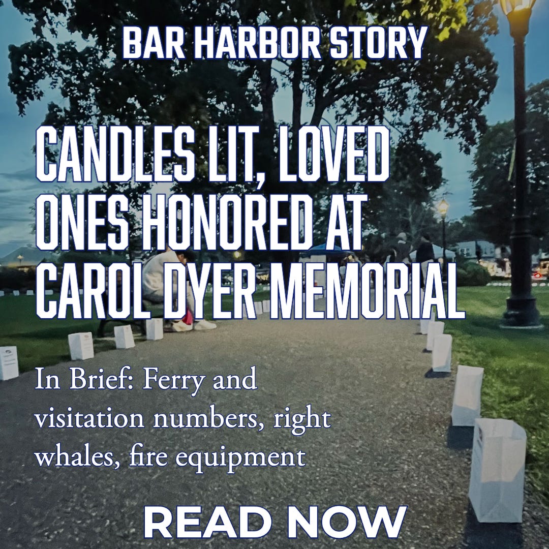 Candles Lit, Loved Ones Honored at Carol Dyer Memorial