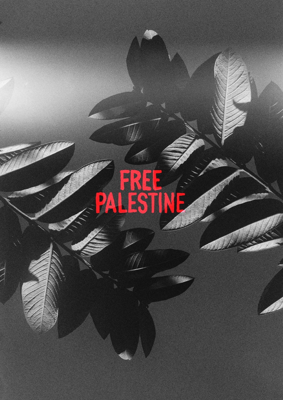 On Solidarity - by Steven Casanova and Alex Matzke