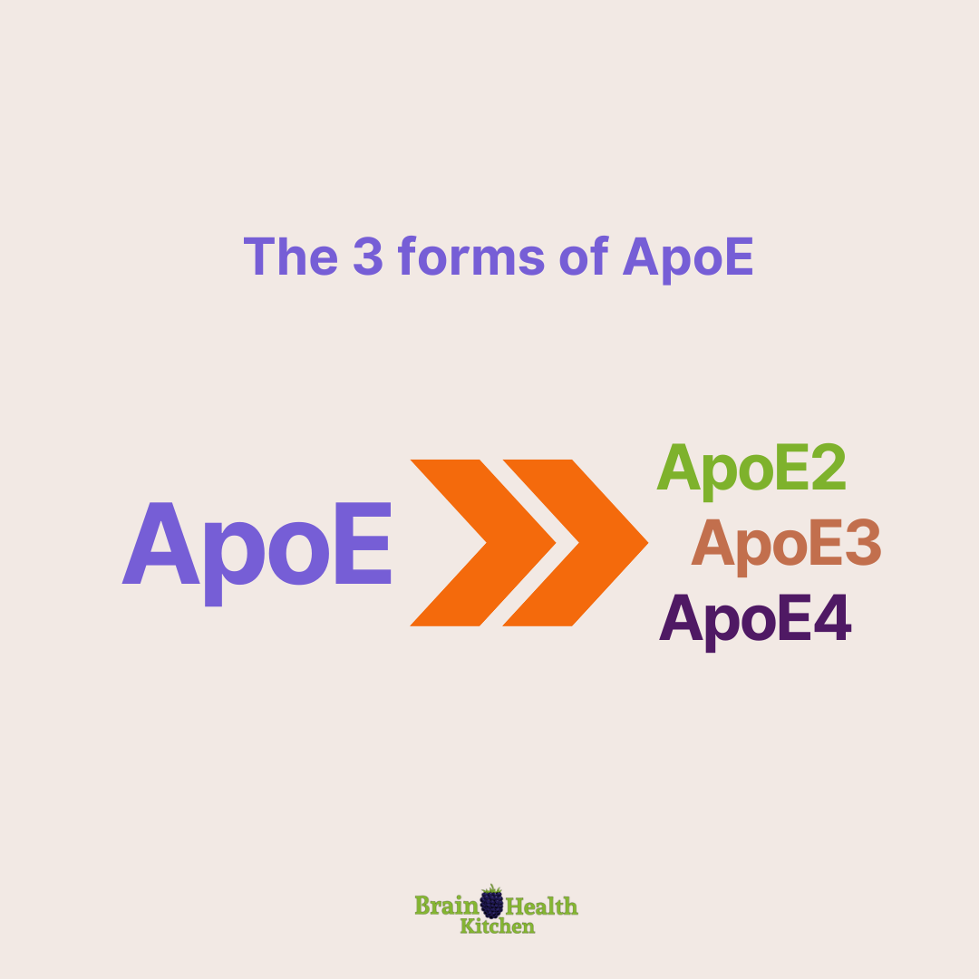 What ApoE4 Carriers Need To Know About A New Study