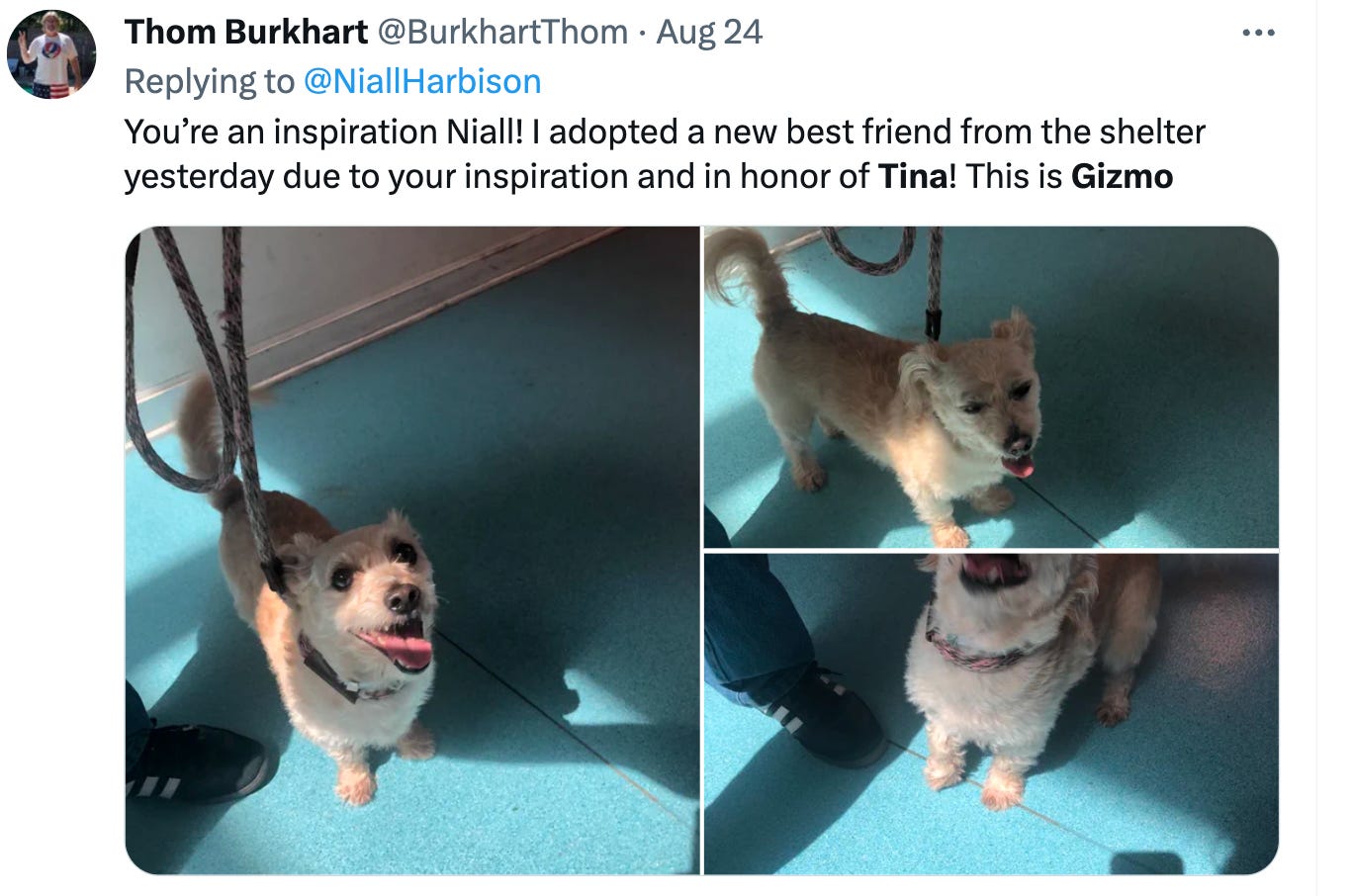 Some Wonderful Feel Good Dog News To Start Your Sunday With