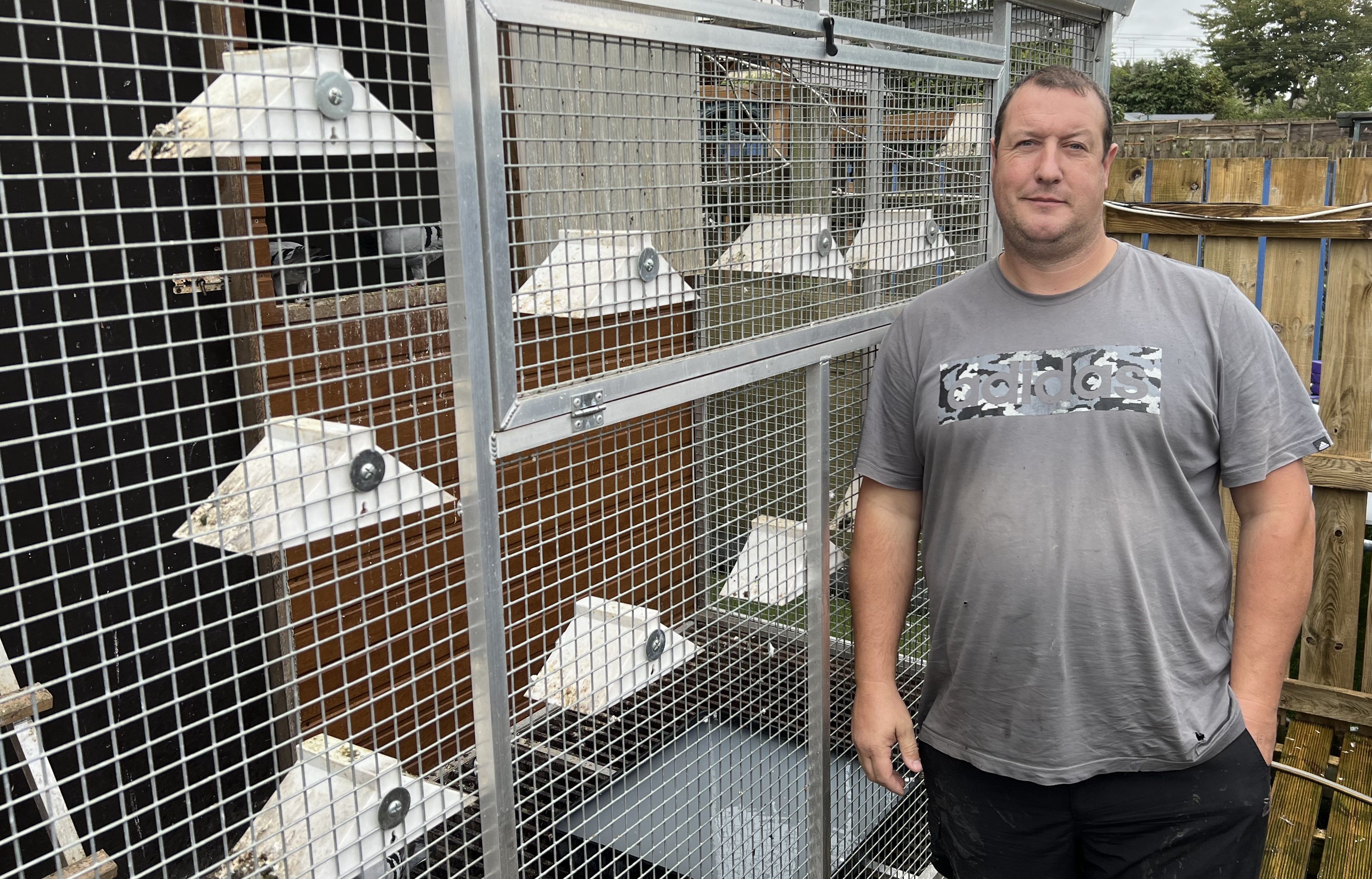 Is the race nearly run for homing pigeons? One man's mission to save a ...