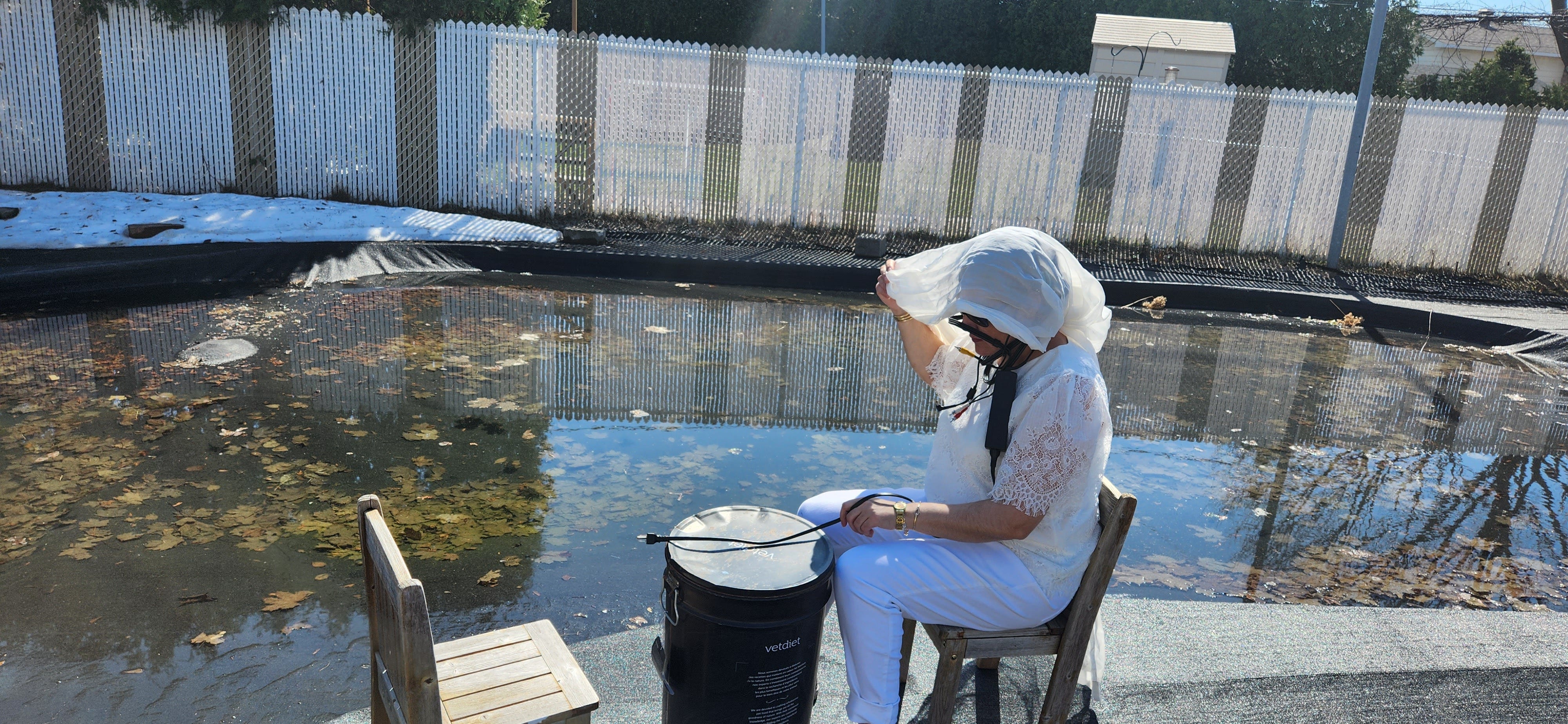 Artistic performance: intellectual nourishment intelligence ...