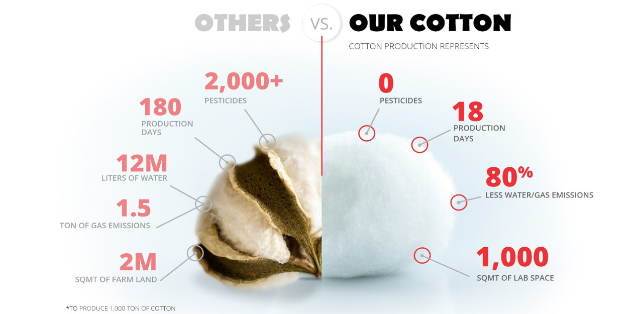 Plant Cell Culture, Budding - by Nate Crosser