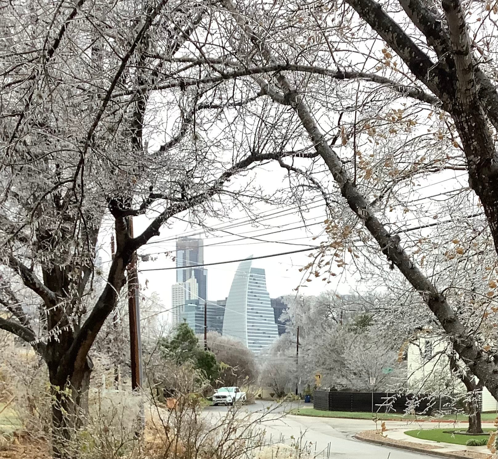 It’s freezing and Bun is a beast - by Leah P - Lagomorpha