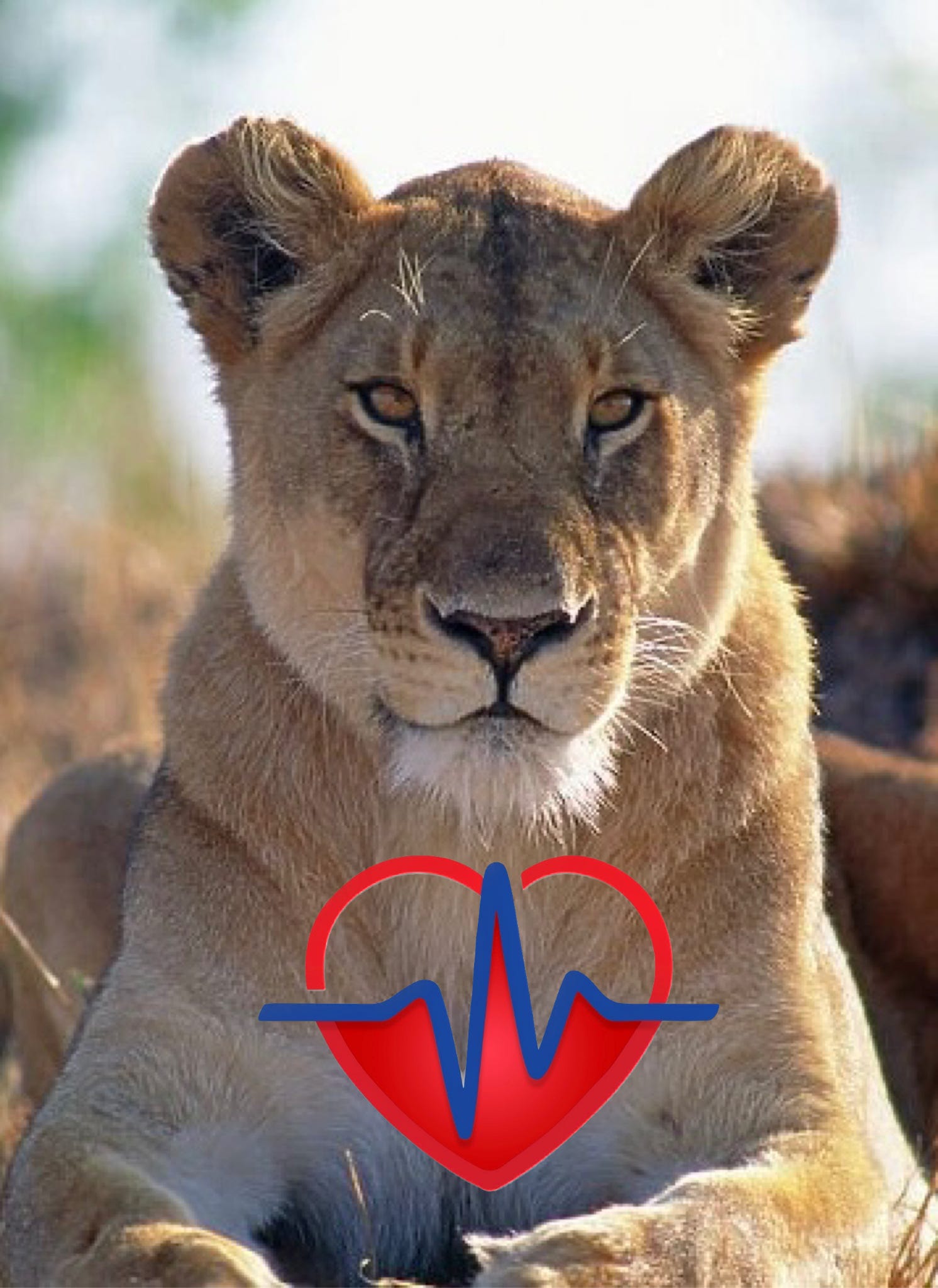 Thank you for the warm Substack welcome! - by Dr Jane Ruby