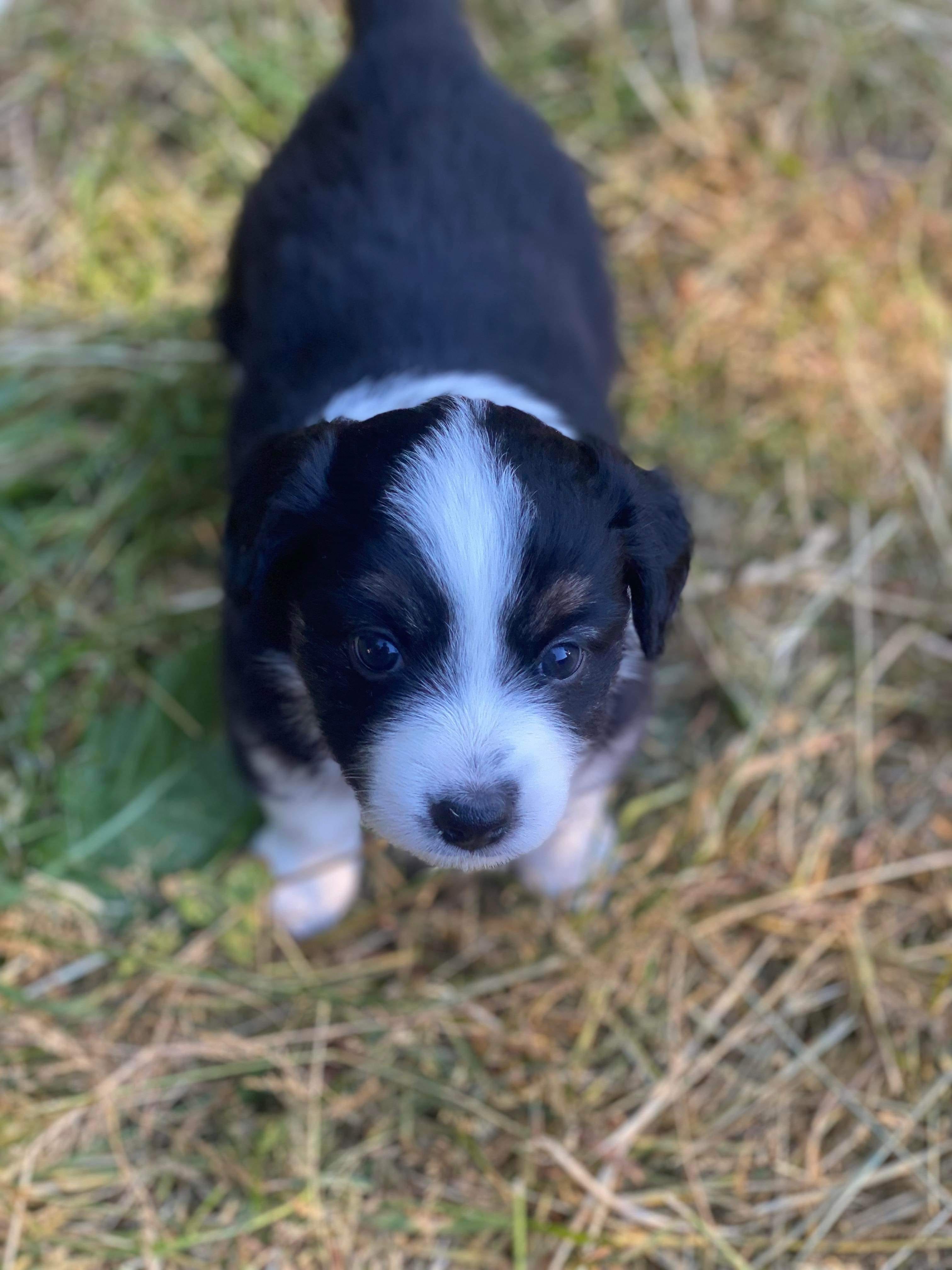 Switter’s World | Substack