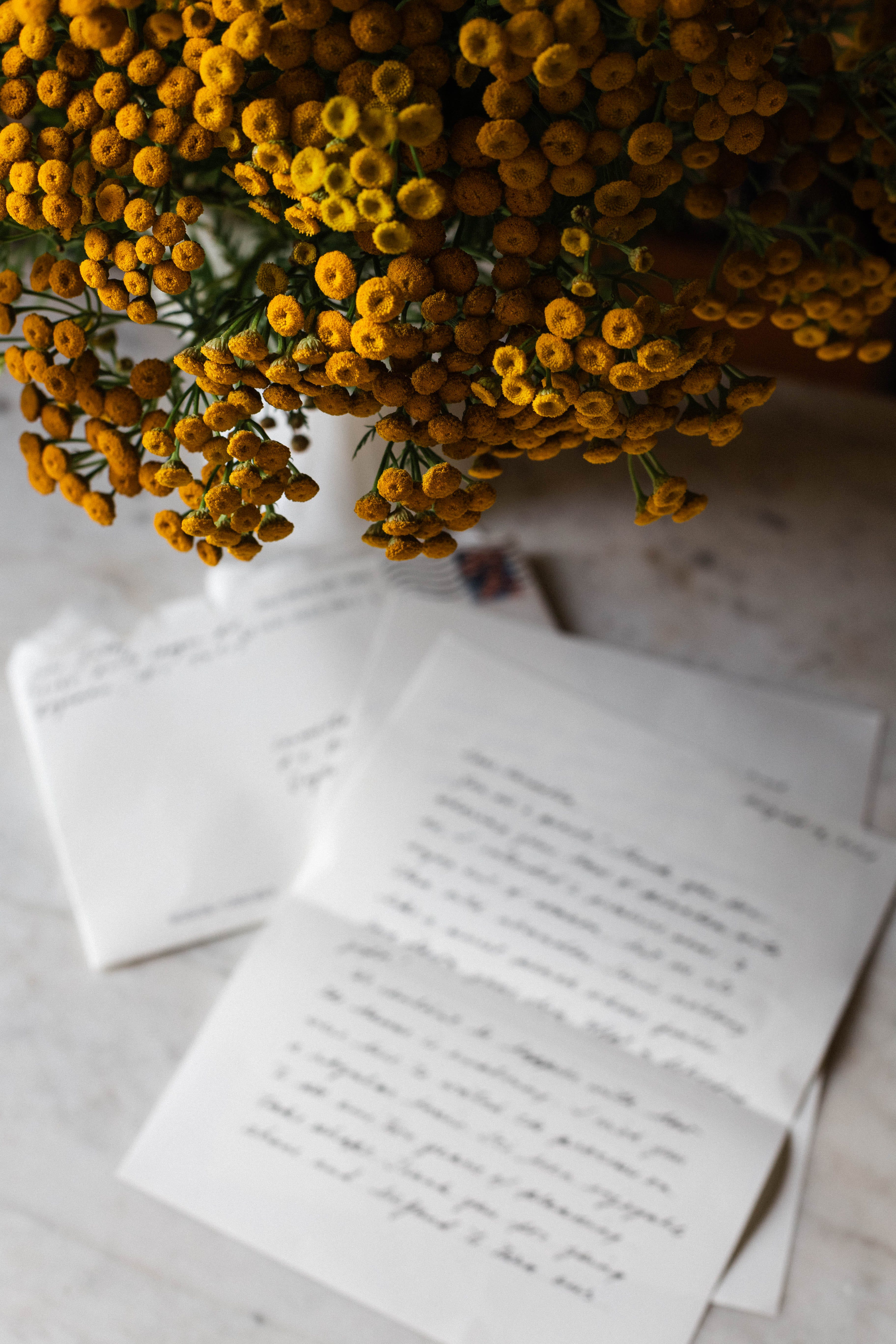 Simple Living | A Handwritten Letter - by Carmella Rayone