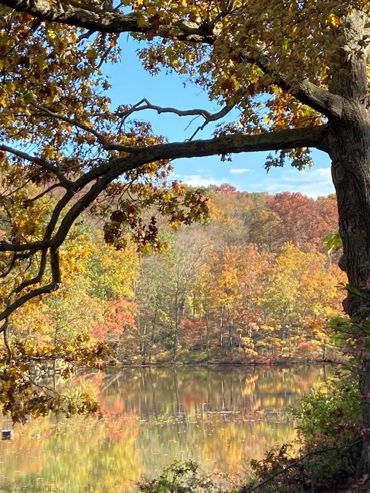 #6. The ashes - by Billy Yalowitz - Billy’s Substack