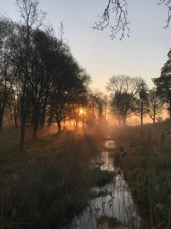 A river runs through it - by Nina Tree - Nina’s Substack