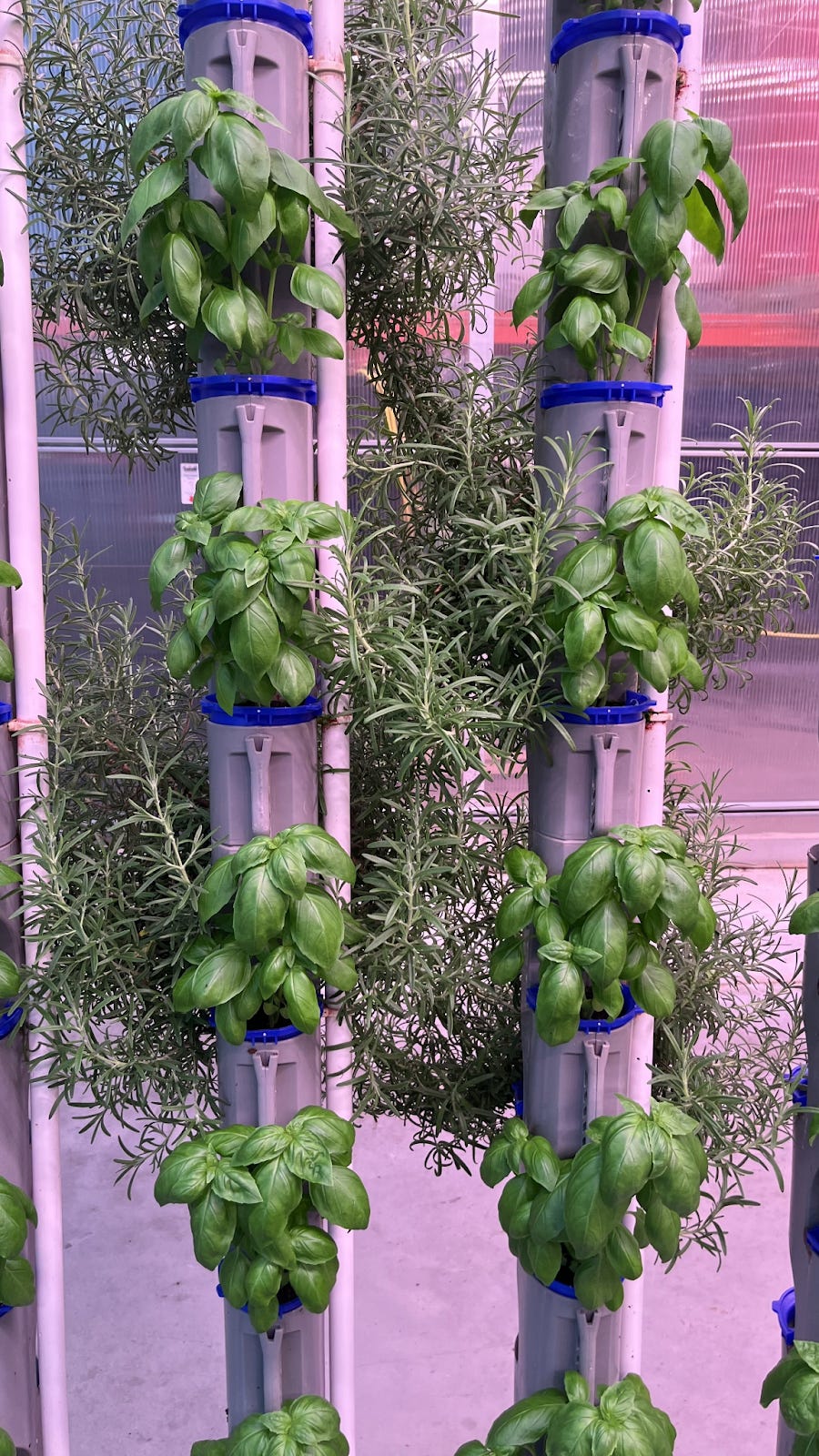 How Can Vertical Farms Become Viable? - by Tomas Pueyo