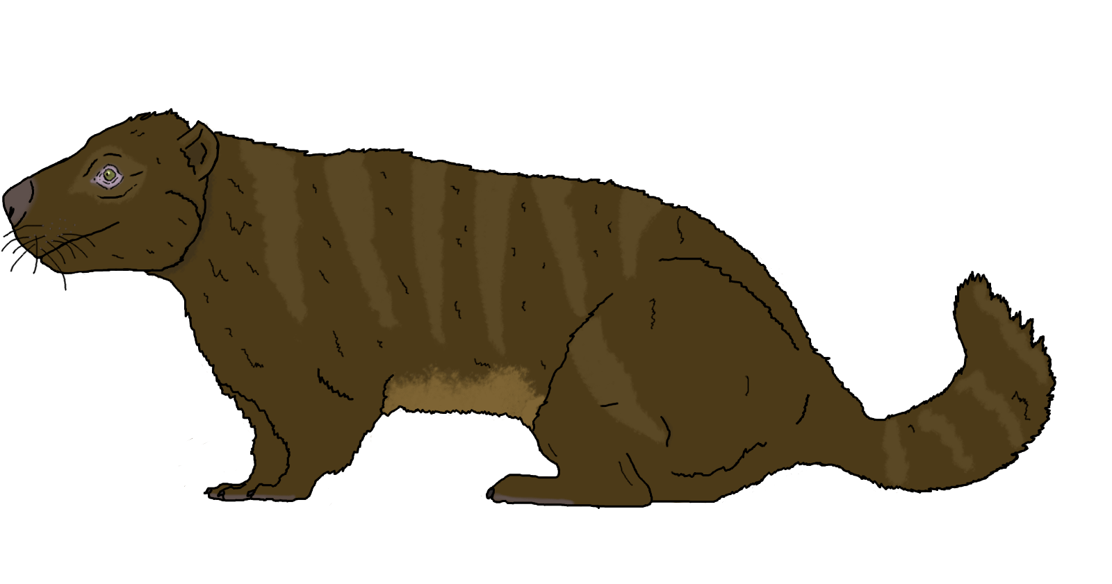 The Sobral Formation: Part 1 - by Paleogene General