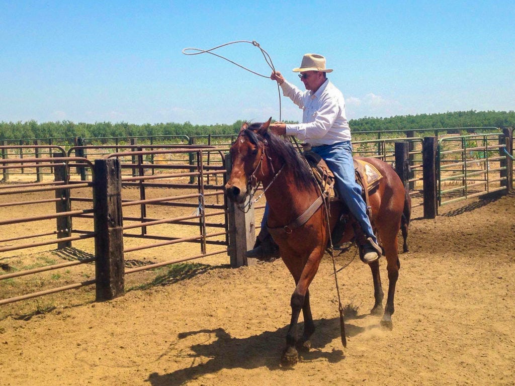 A Cowboy in San Francisco: Tim Koopmann Fights for the Value of Grazing ...